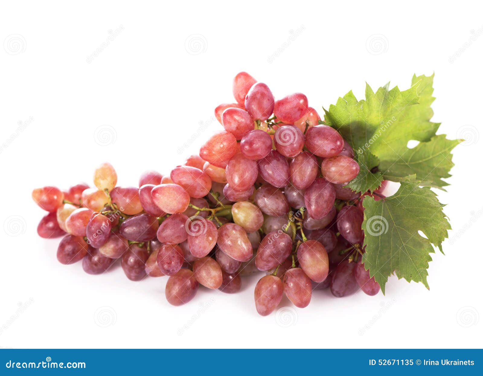 Grapes bunch stock image. Image of label, healthy, fresh - 52671135