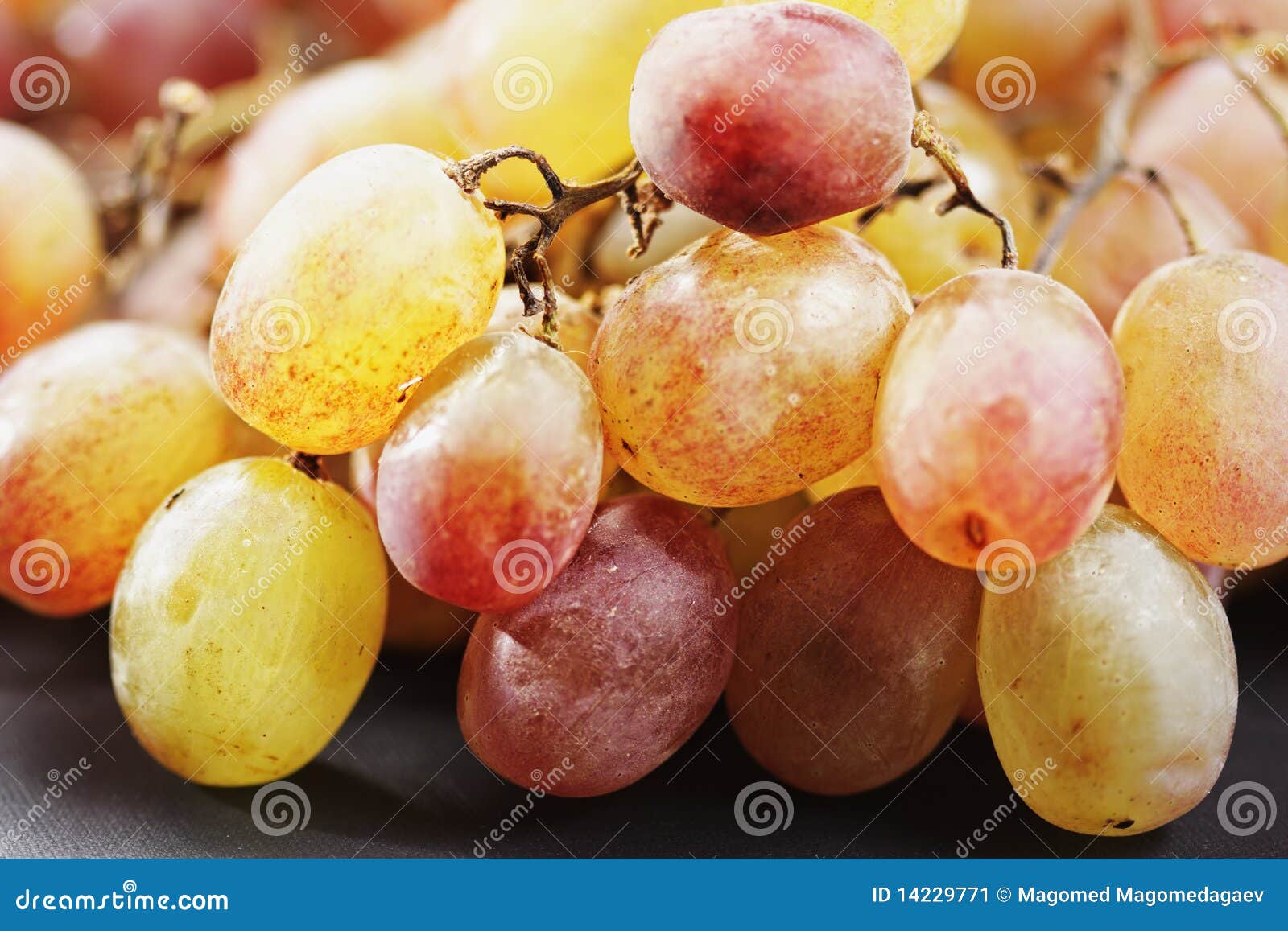Grapes closeup stock image. Image of fruit, focus, grapes - 14229771