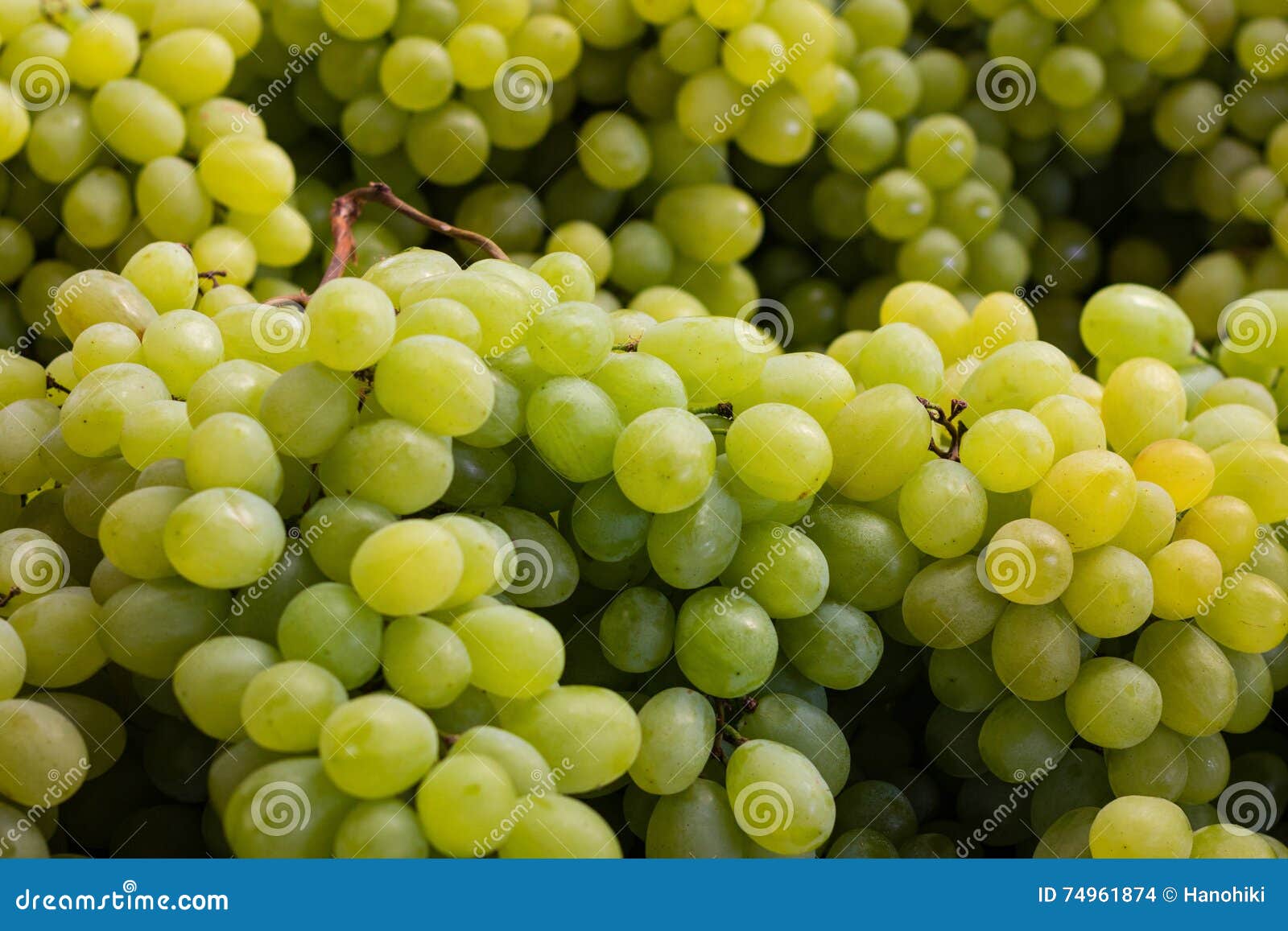 Closeup Of A Bunch Of Many Green Rough Uncut Emerald Crystals Royalty ...