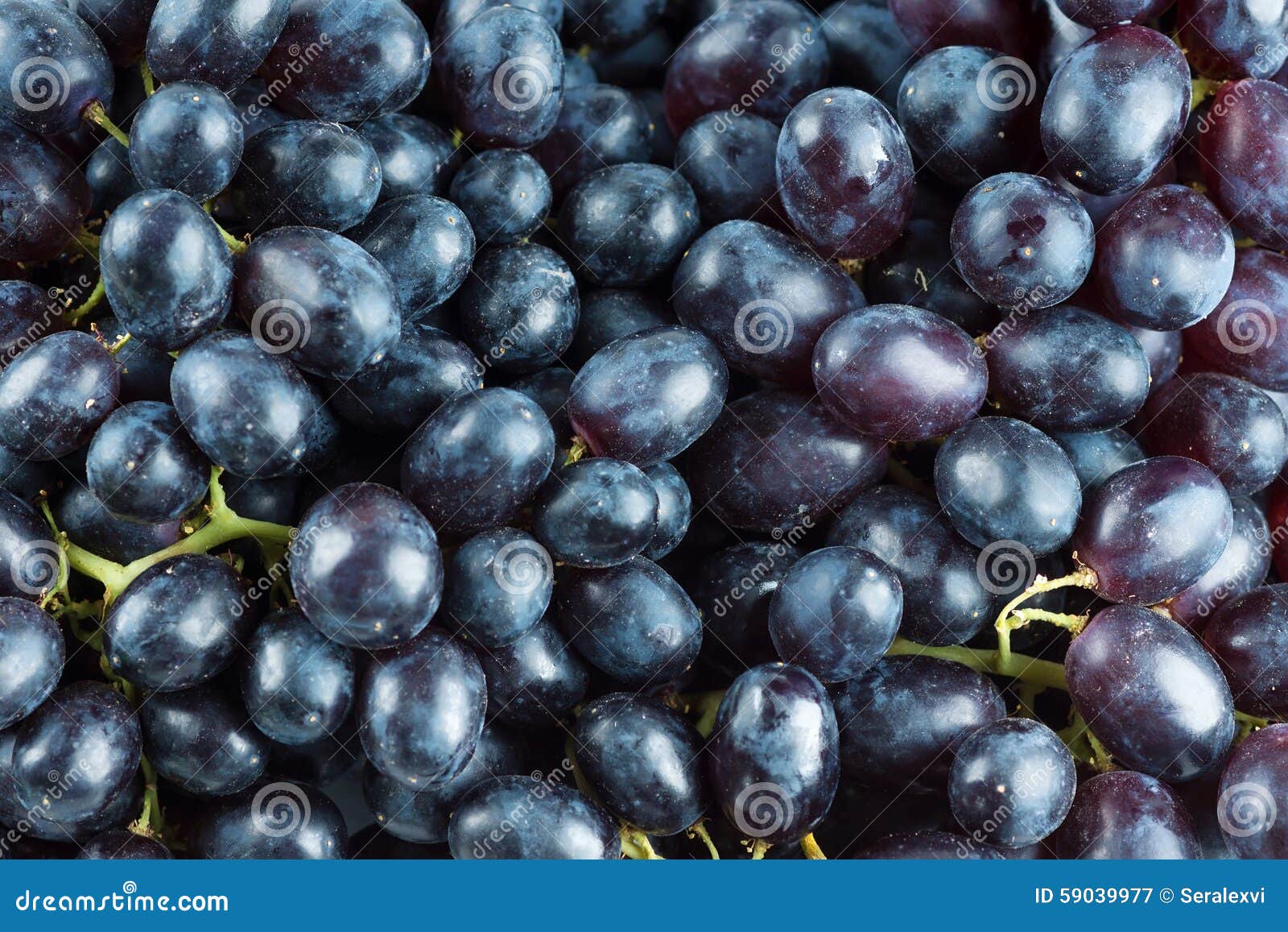 Grapes closeup stock image. Image of wine, close, fruit - 59039977