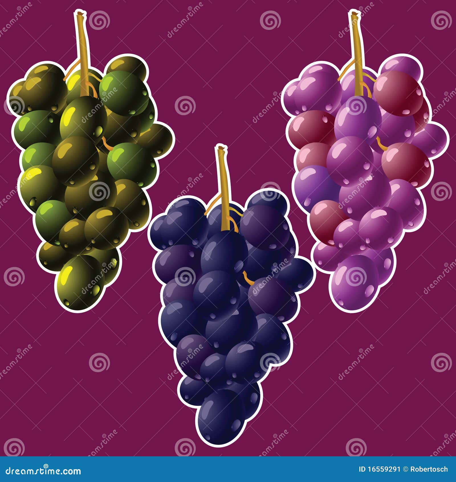 Grapes clusters stock vector. Illustration of black, juicy - 16559291