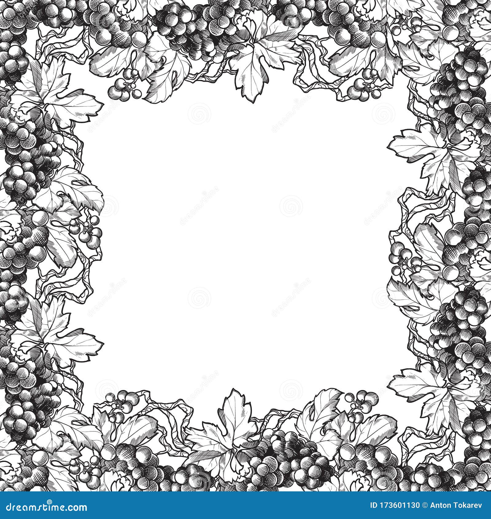 Grapes Clusters With Leaves. Decorative Rectangular Frame. Vector ...