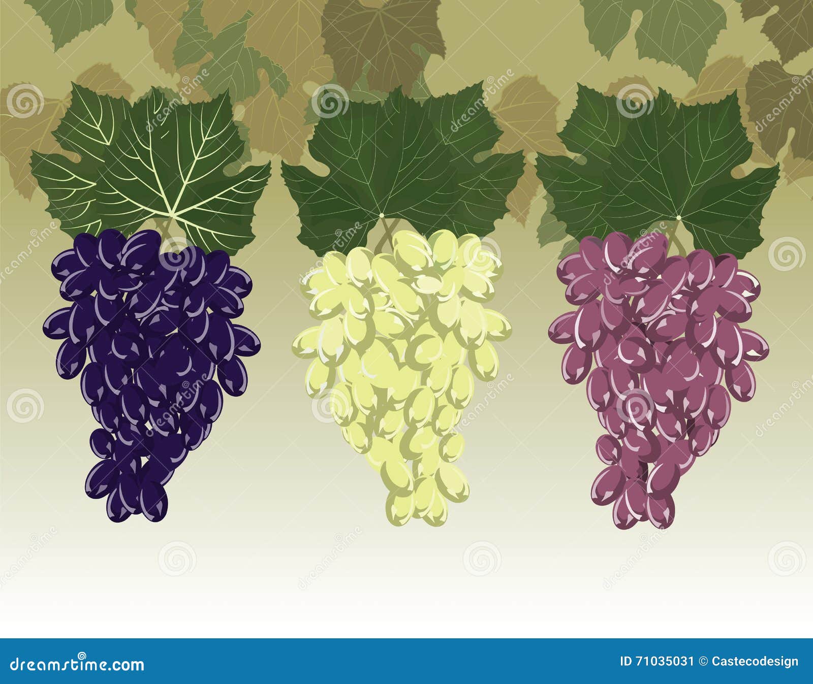 Grapes clusters set stock vector. Illustration of poster - 71035031