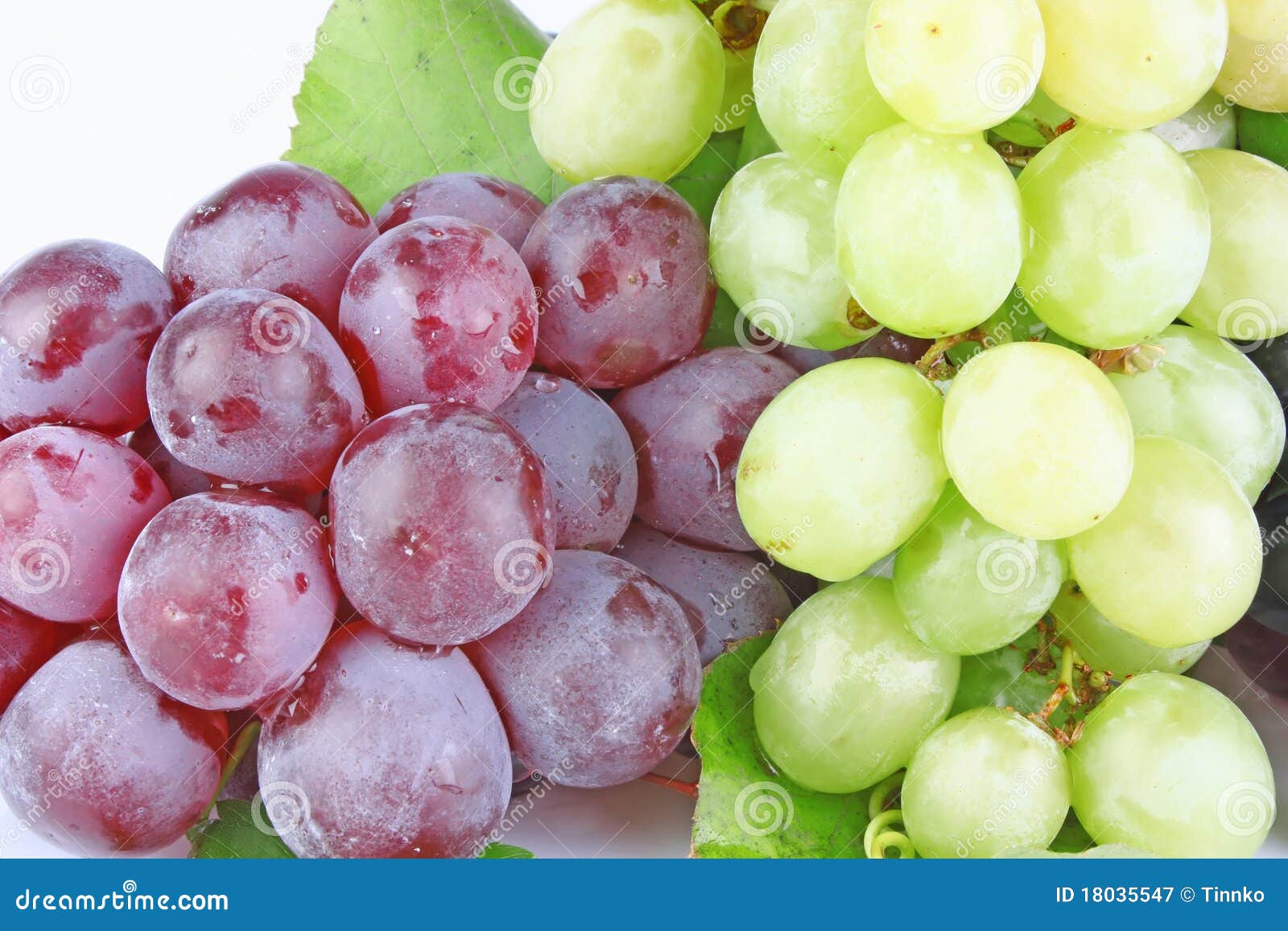 Grapes color background stock image. Image of branch - 18035547
