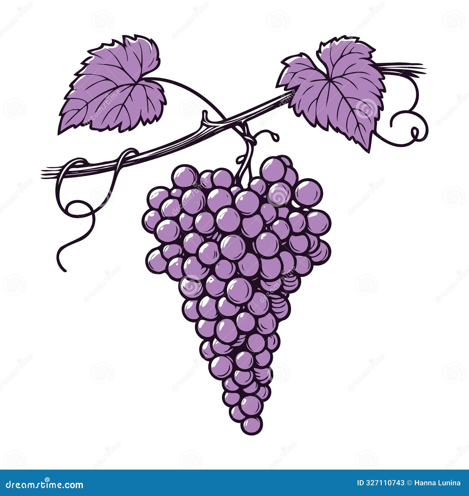 Grapes in Continuous Line Drawing Style. Vector Illustration. Stock ...