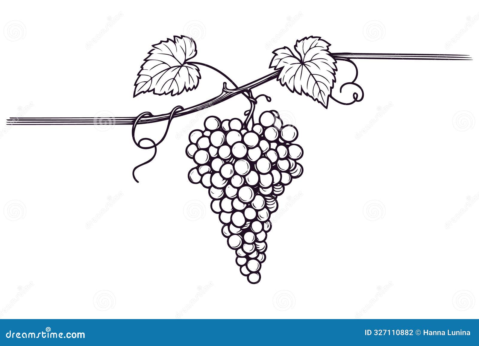 Grapes in Continuous Line Drawing Style. Vector Illustration. Stock ...