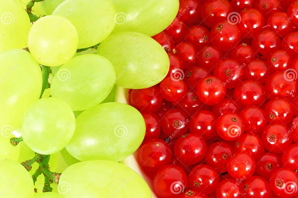 Grapes and currants stock photo. Image of berry, vegetarian - 18101746