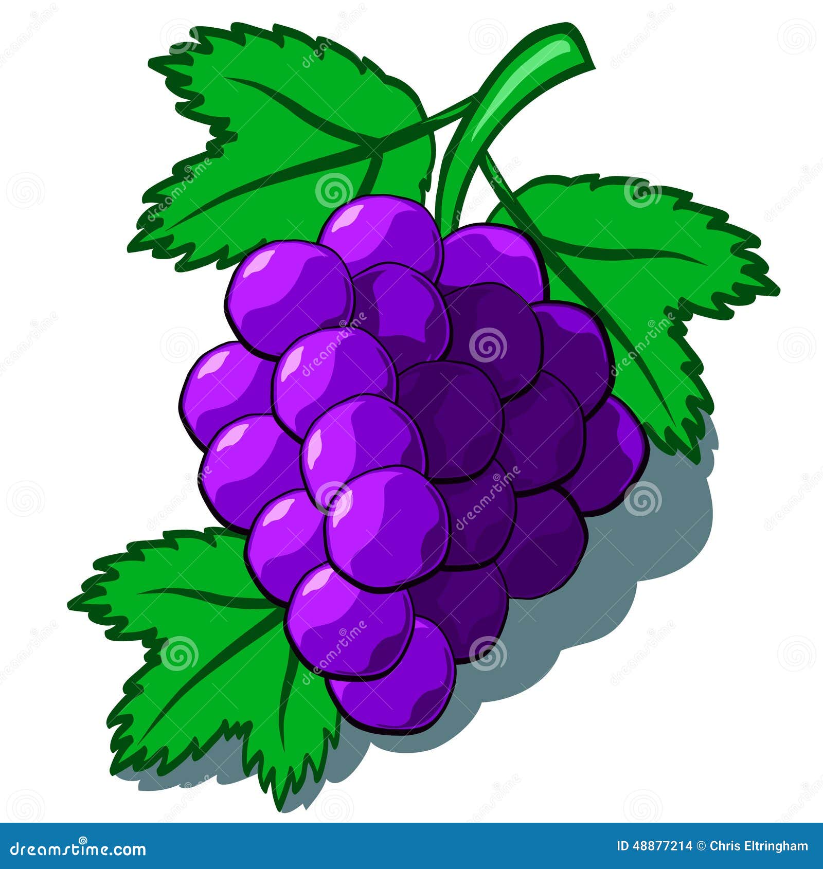 Grape Cartoon