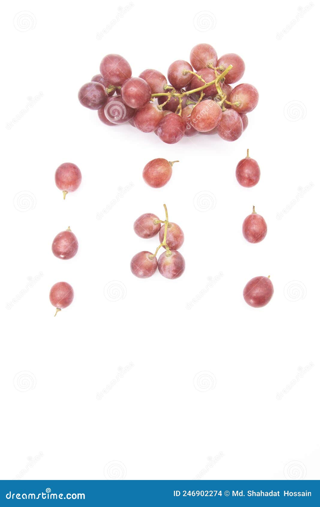 Grapes Designed Isolated on White Stock Photo - Image of designed ...