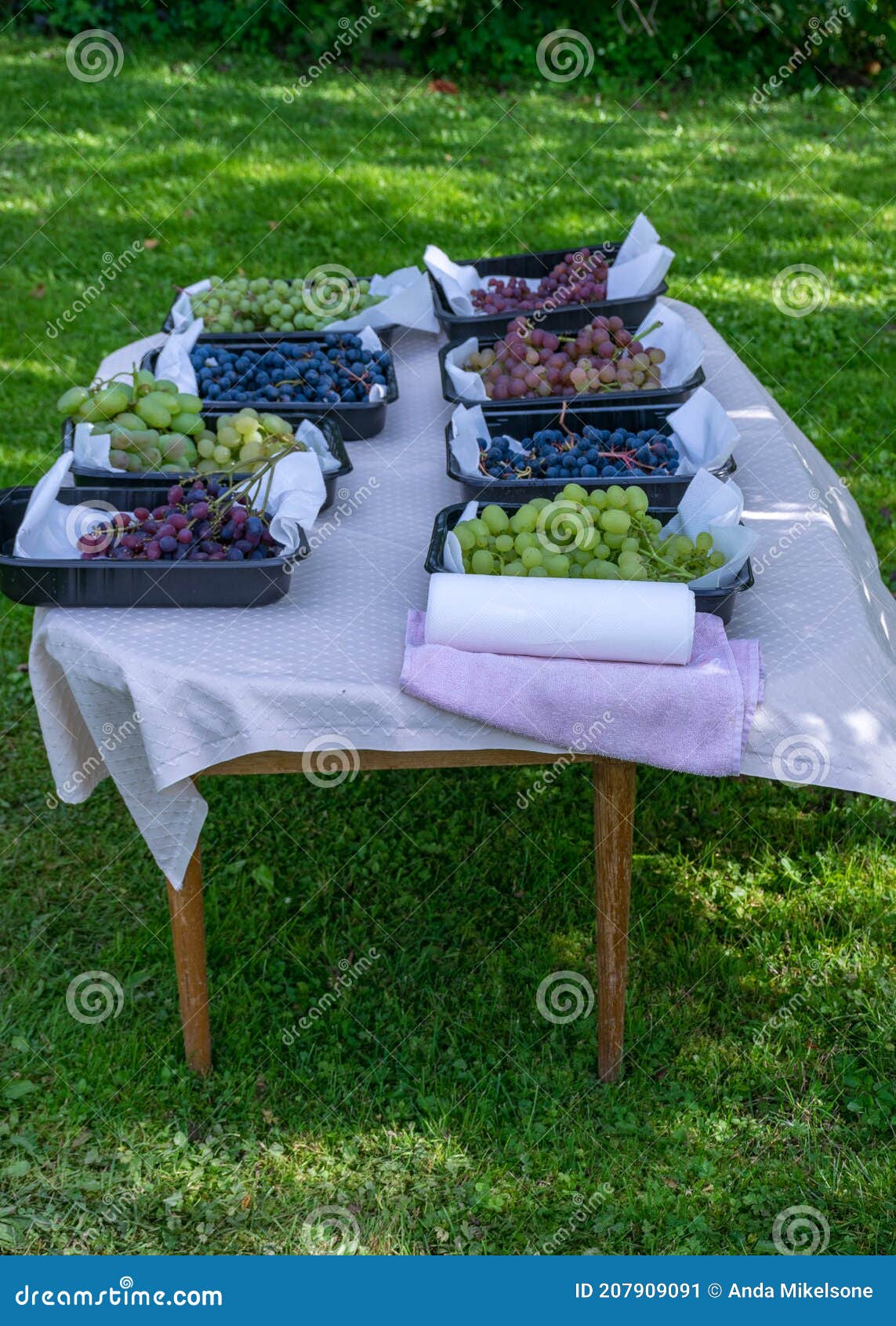 Grapes of Different Shapes and Colors on the Table, Grape Tasting and ...