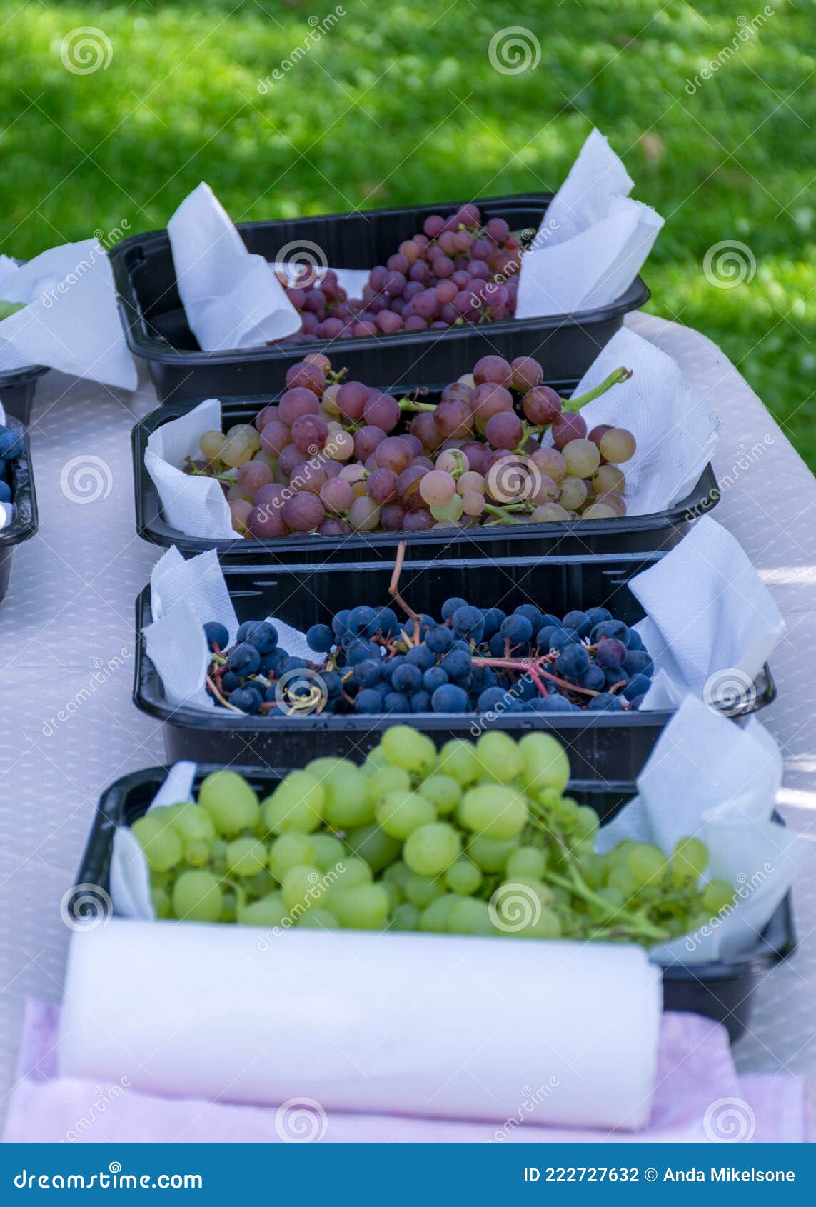 Grapes of Different Shapes and Colors on the Table, Grape Tasting and ...