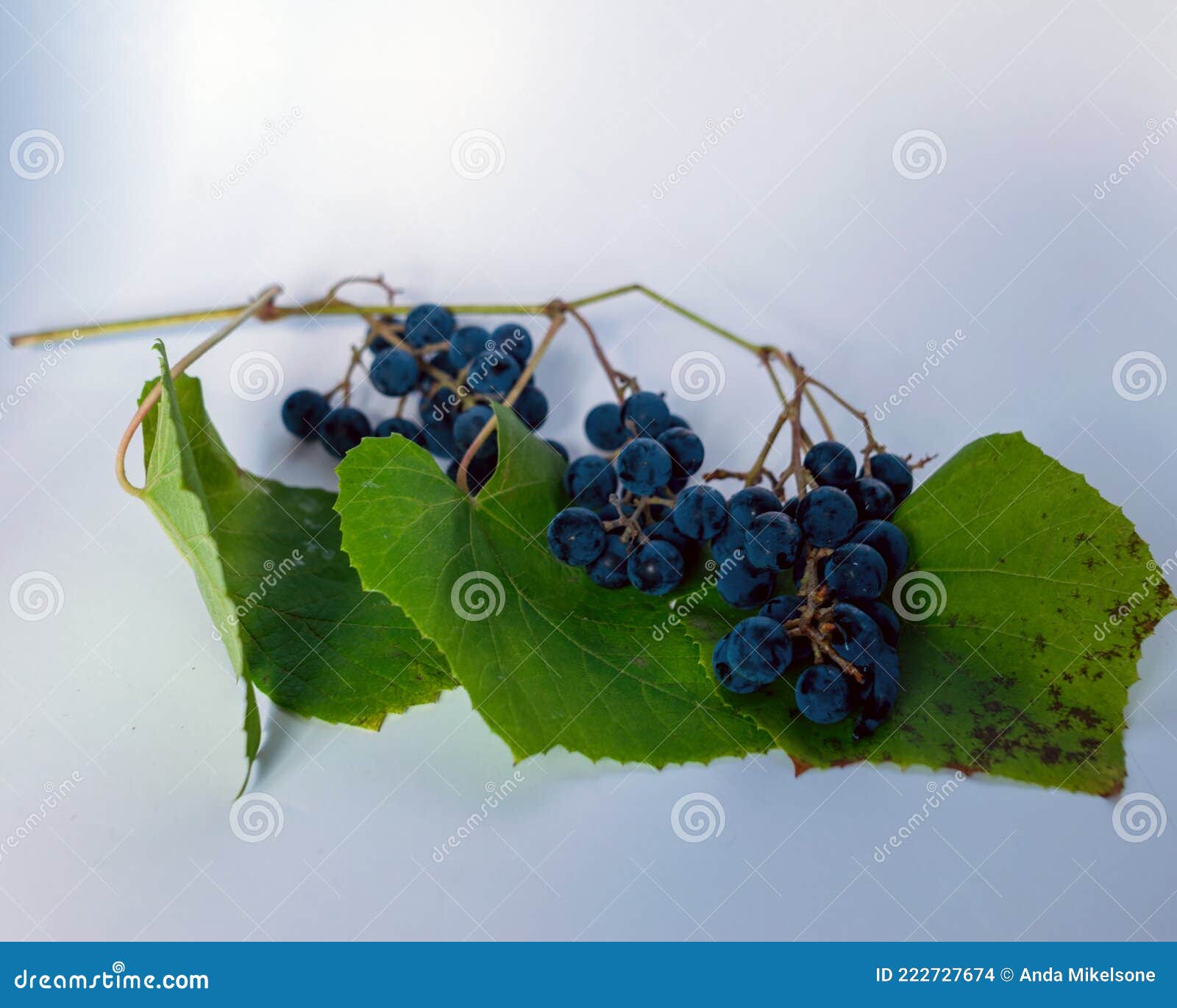 Grapes of Different Shapes and Colors on the Table, Grape Tasting and ...