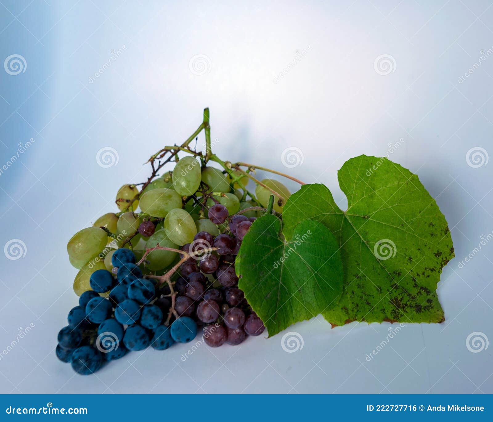 Grapes of Different Shapes and Colors on the Table, Grape Tasting and ...