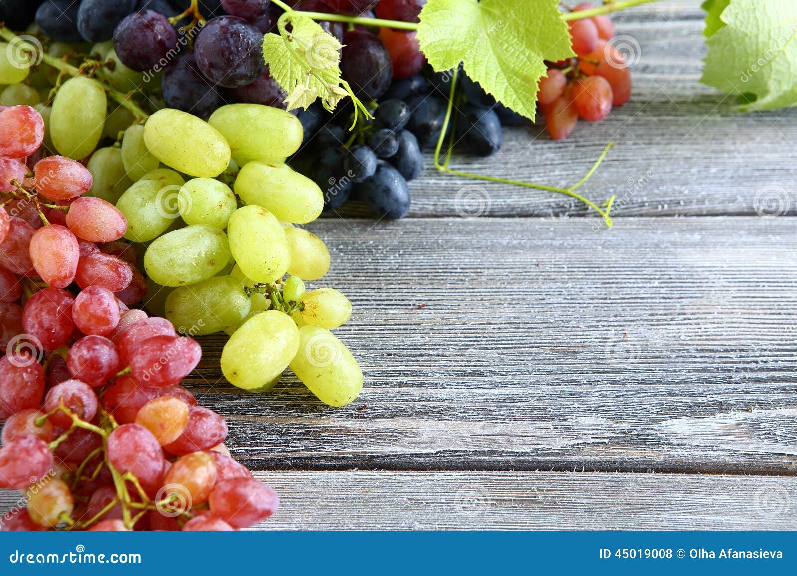 Grapes of Different Varieties Stock Photo - Image of season, board ...