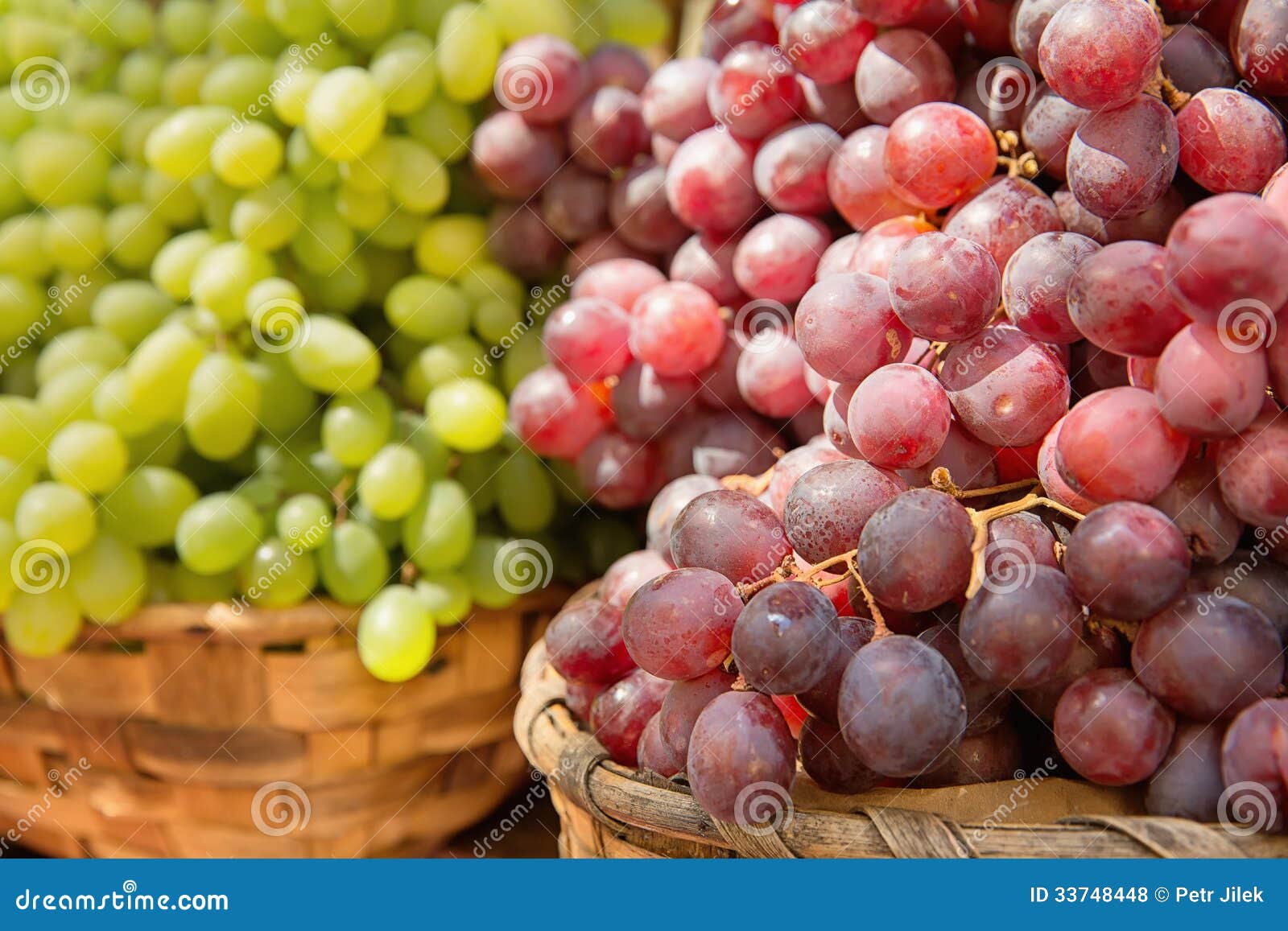 Grapes of Different Varieties Stock Photo - Image of harvest, bunch ...