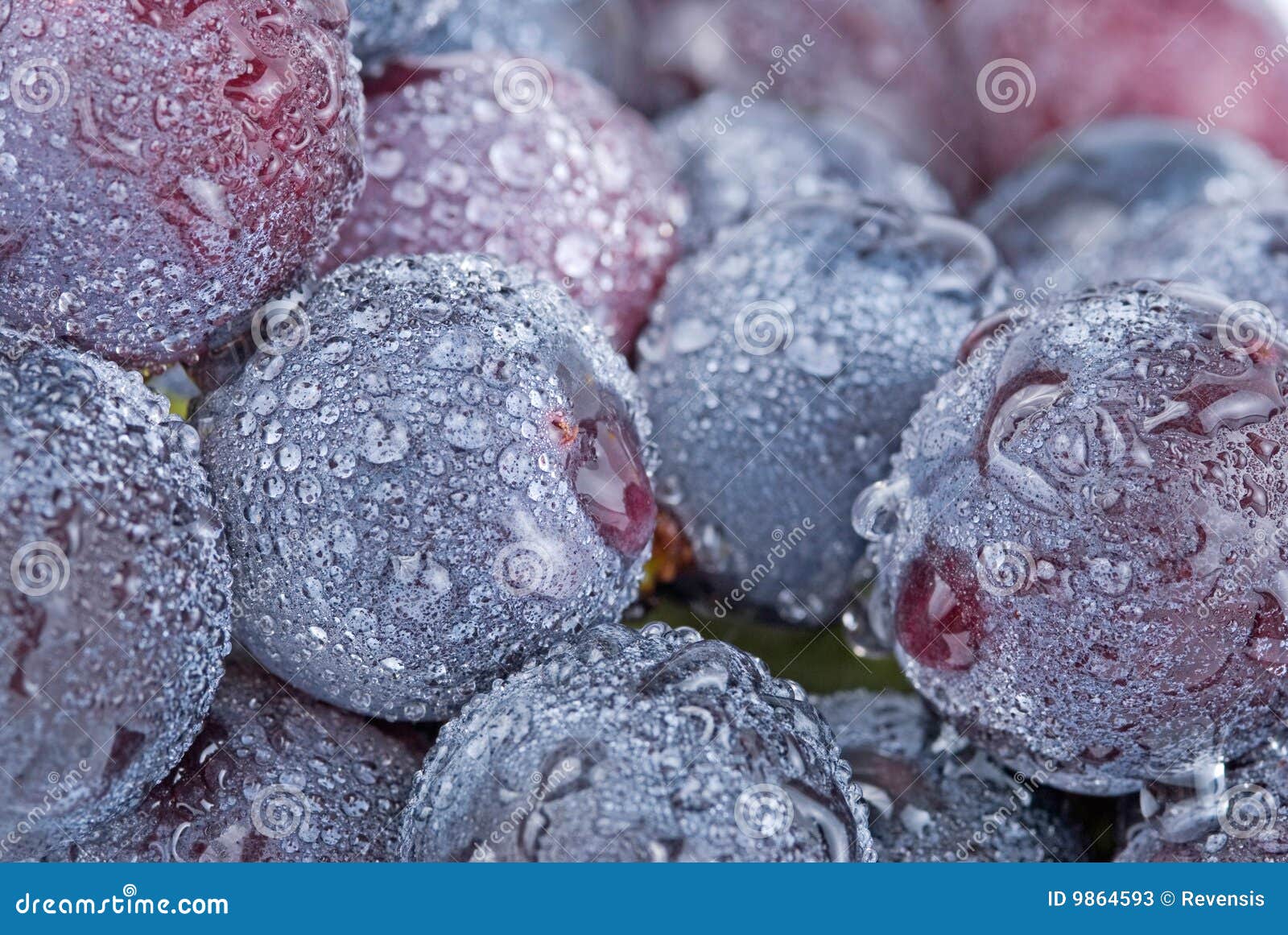 Grapes with Drops, Fresh Fruit. Stock Image - Image of round, harvest ...