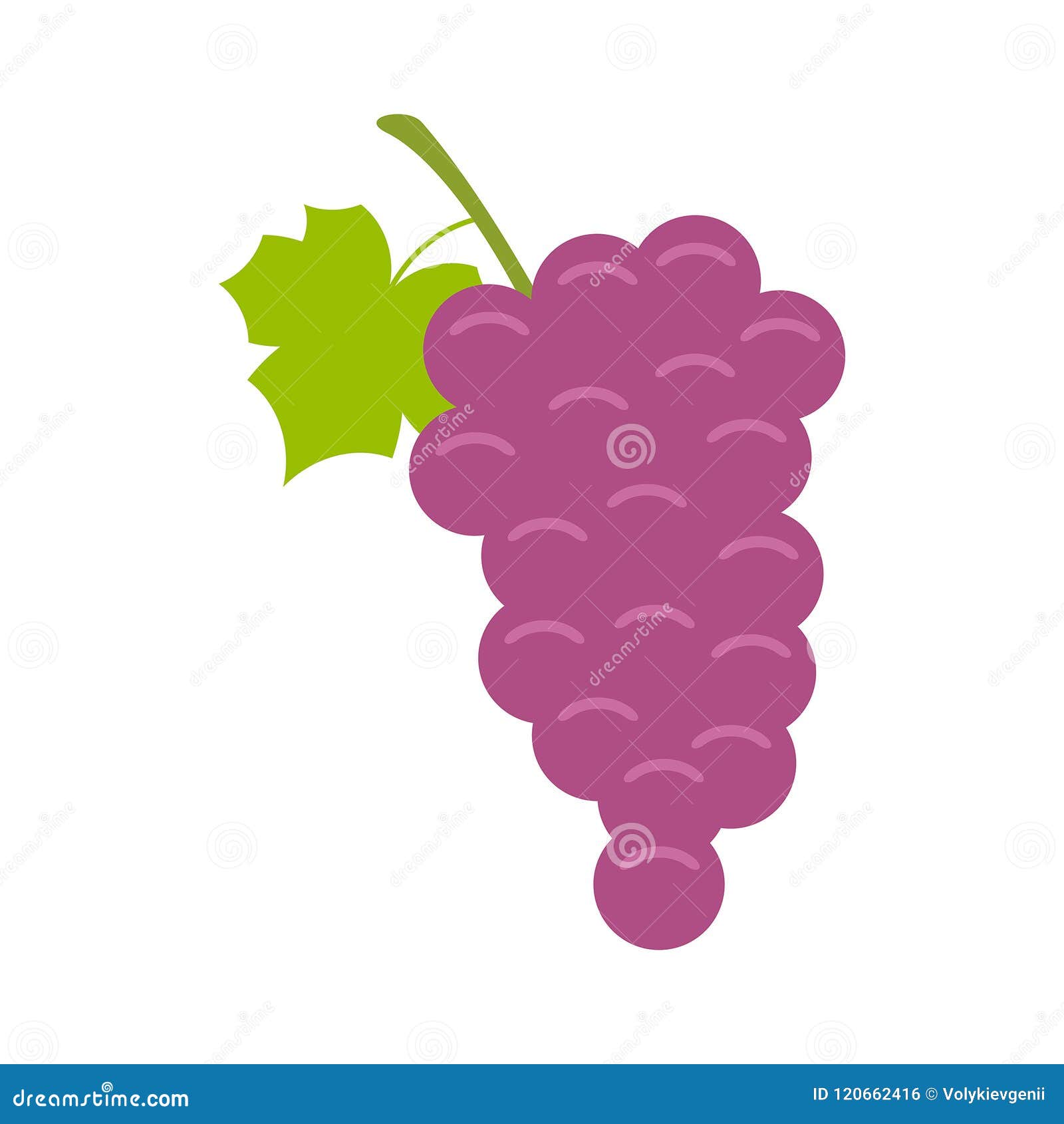 Grapes. flat style stock vector. Illustration of design - 120662416