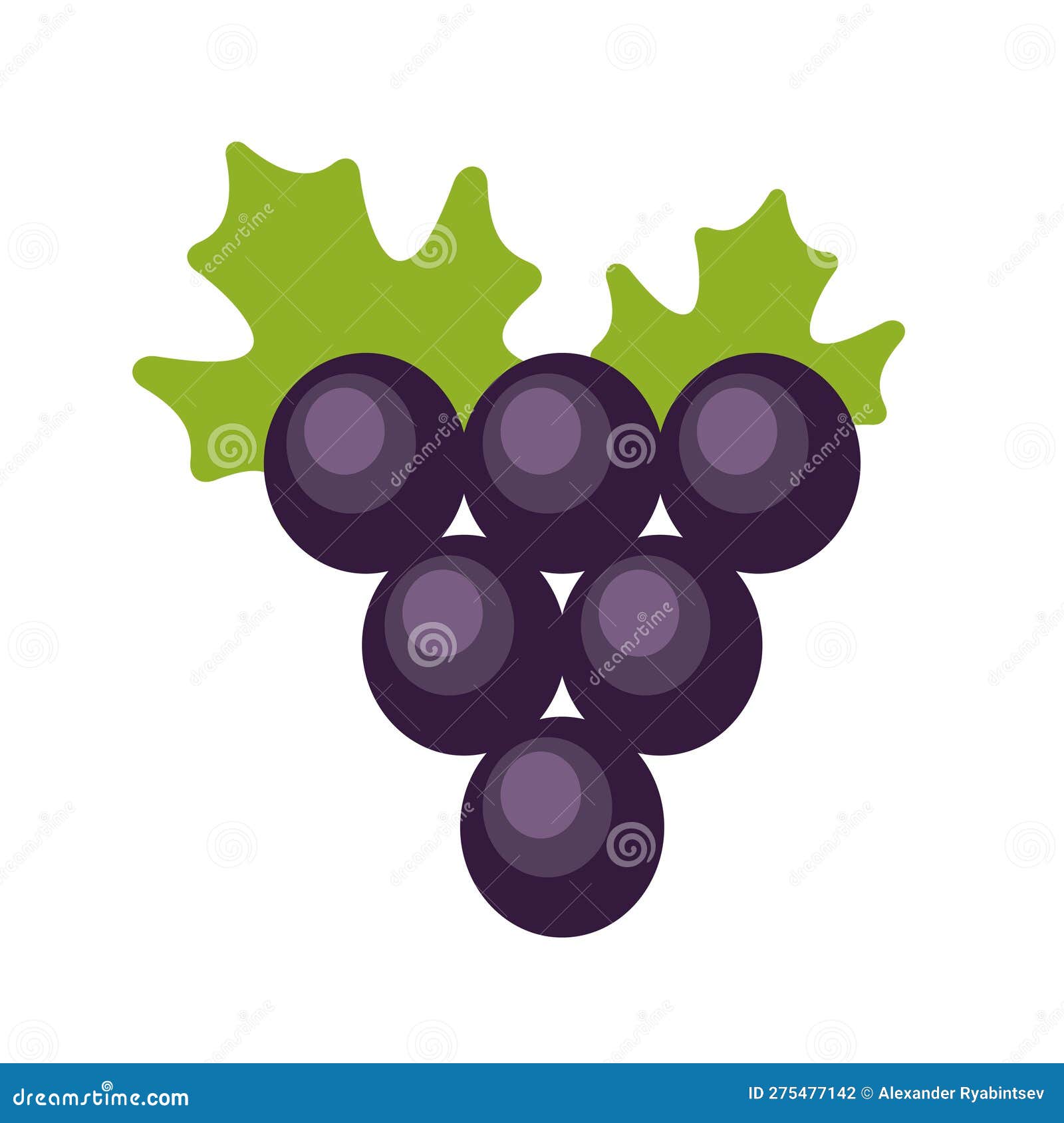 Grapes Flat Style Vector Illustration. Bunch of Grapes Vector. Stock ...