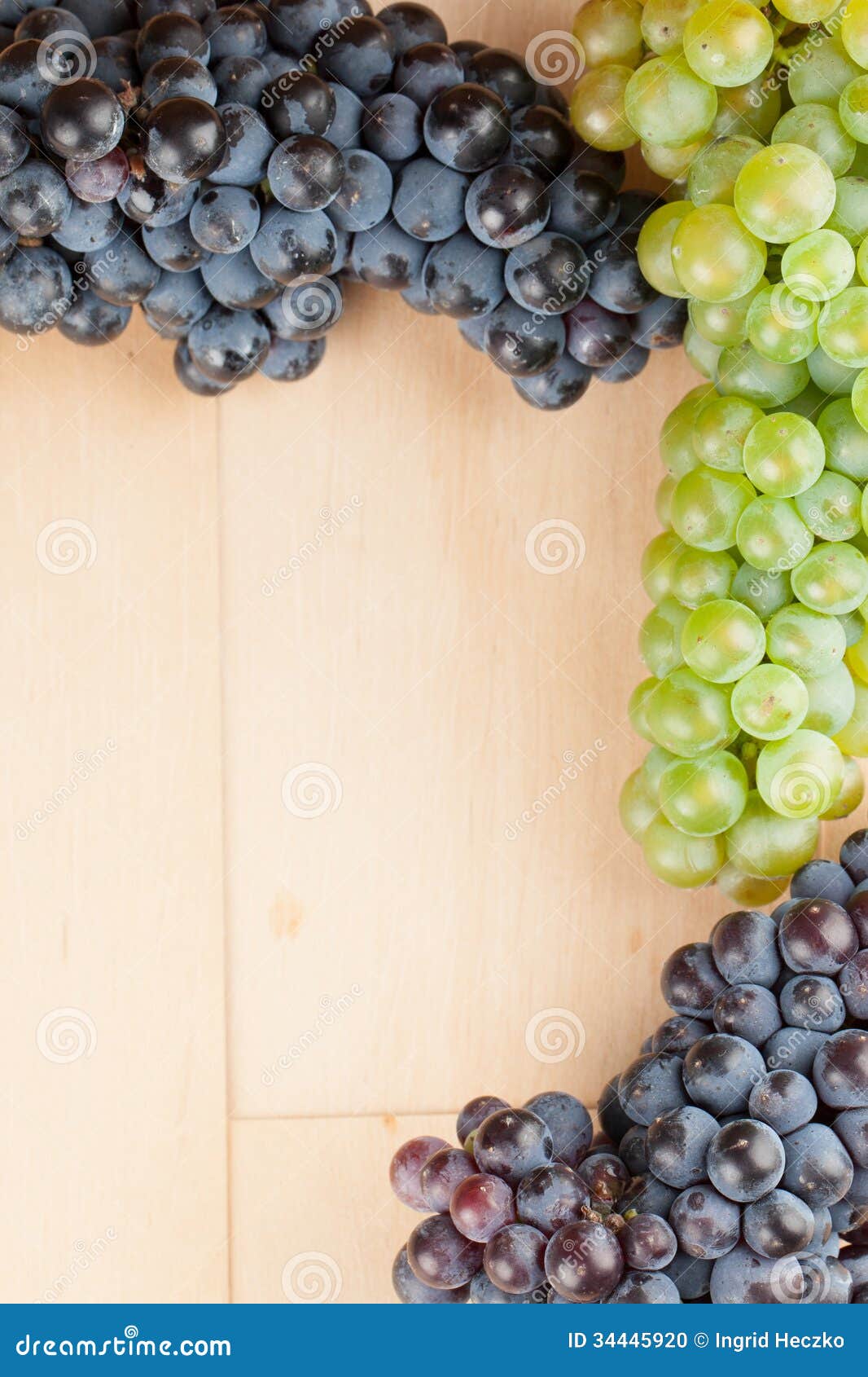 Grapes frame stock photo. Image of purple, copy, frame - 34445920