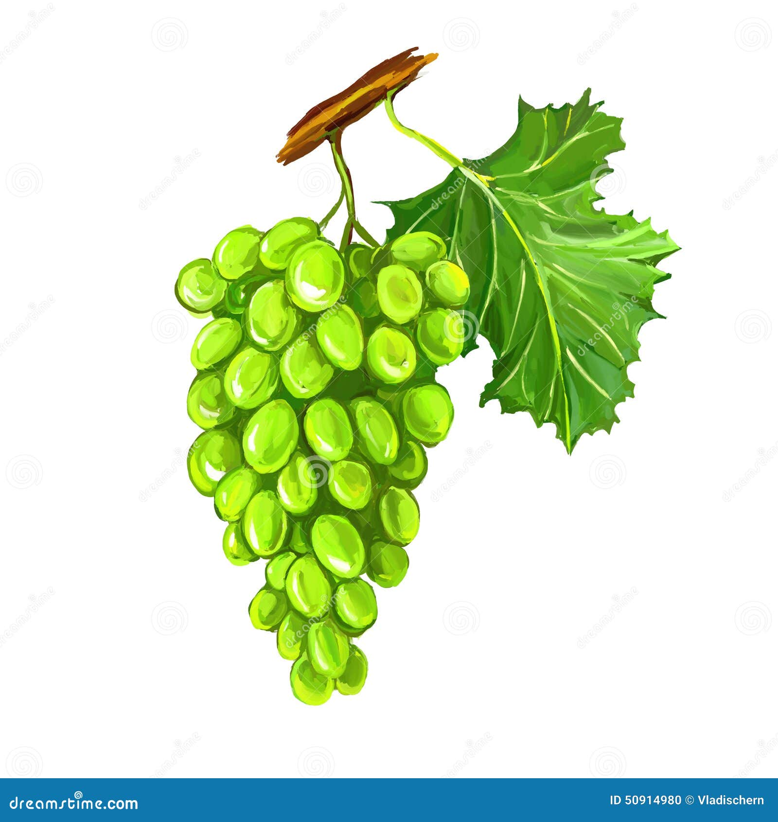 Grapes Fruit Vector Illustration Hand Drawn Stock Vector - Illustration ...