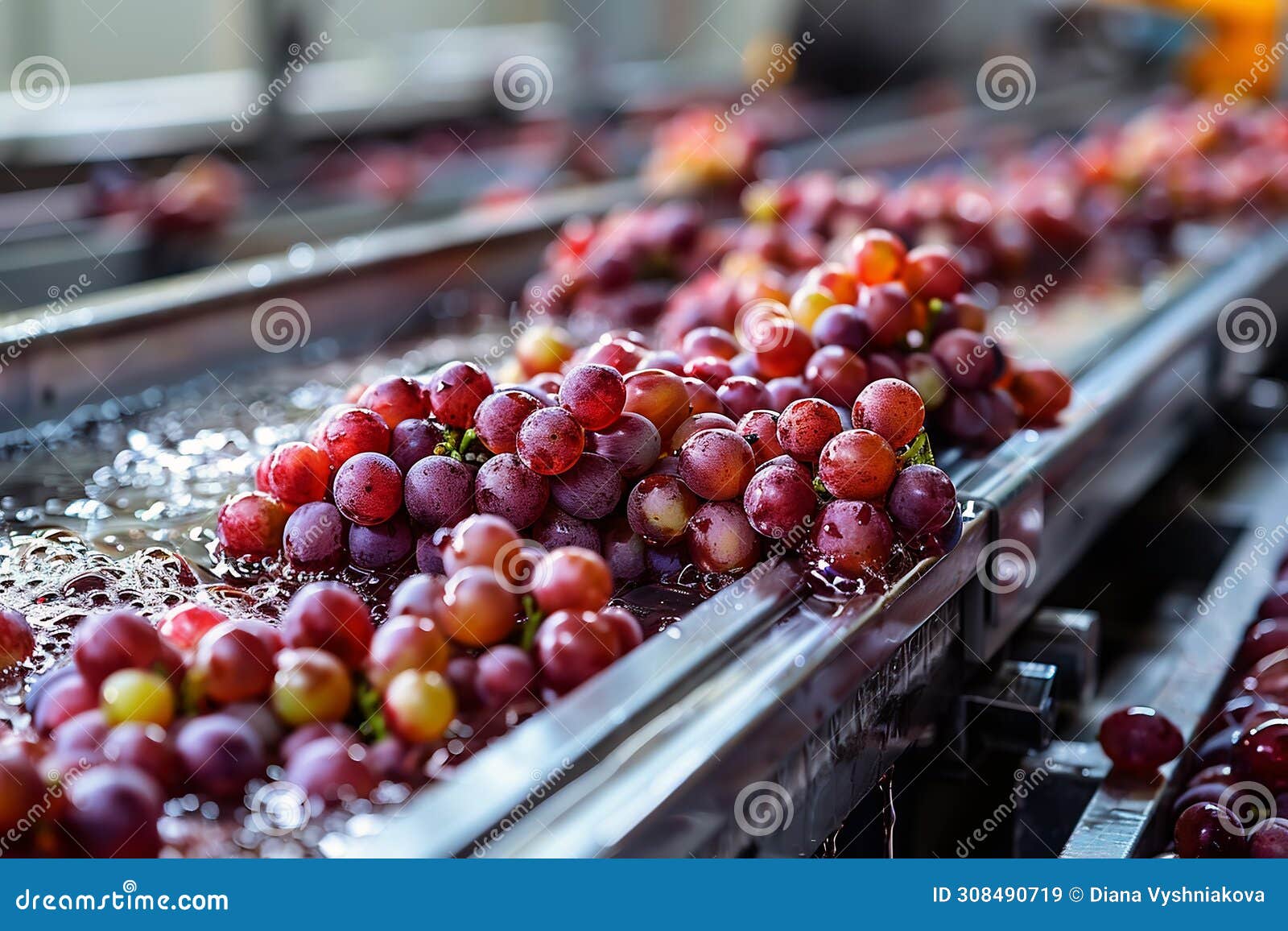 Grapes Going Throught the Factory, Wine Making, Generative Ai Stock ...