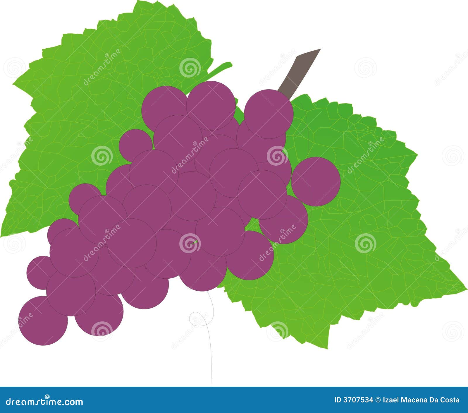 Grape And Leaves Vector Background Royalty-Free Stock Image ...