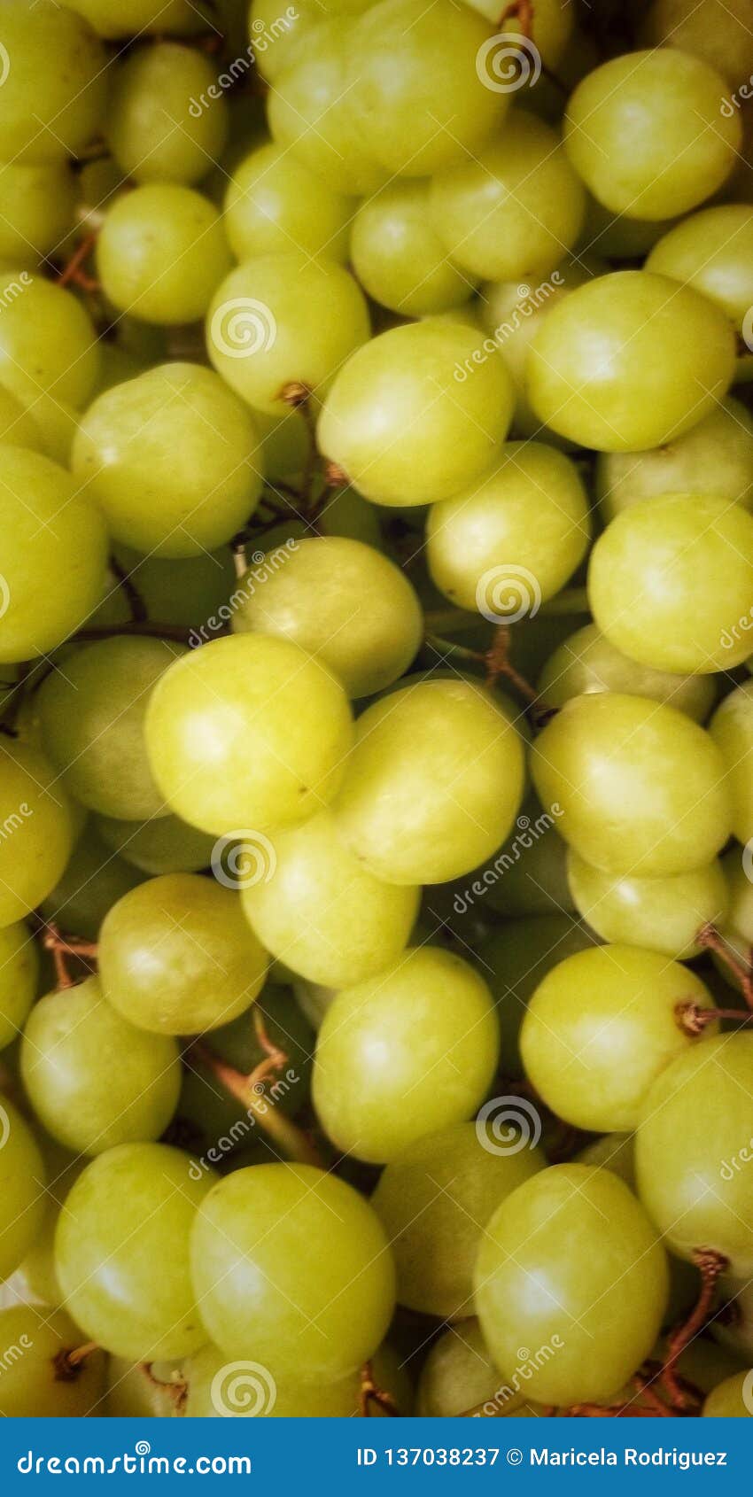 Grapes stock image. Image of group, fruits, grape, grapes - 137038237