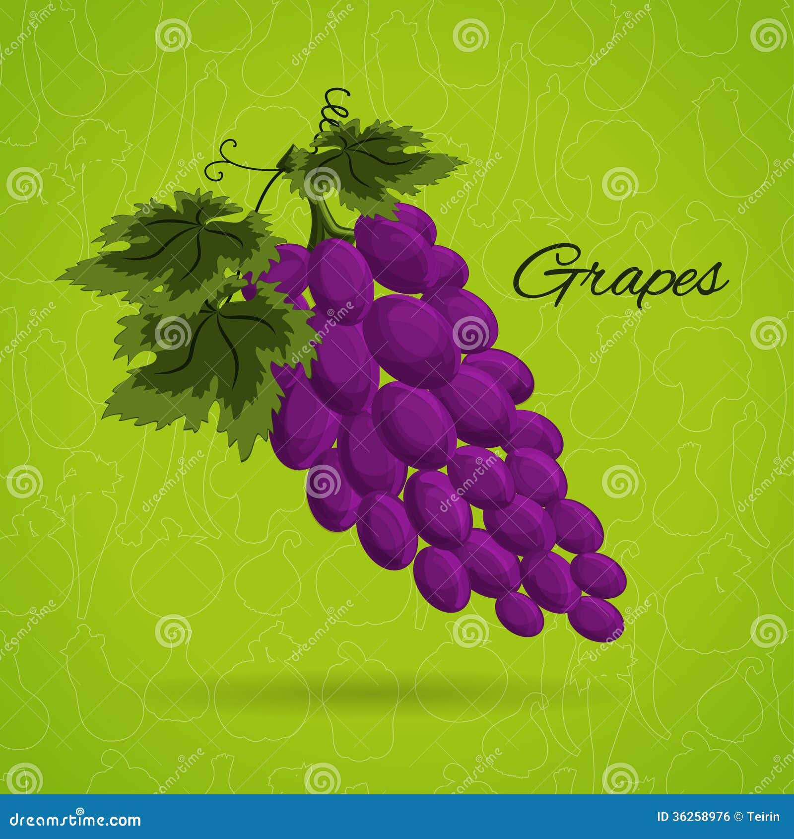 Grapes an Illustration in a Retro Style. Stock Vector - Illustration of ...