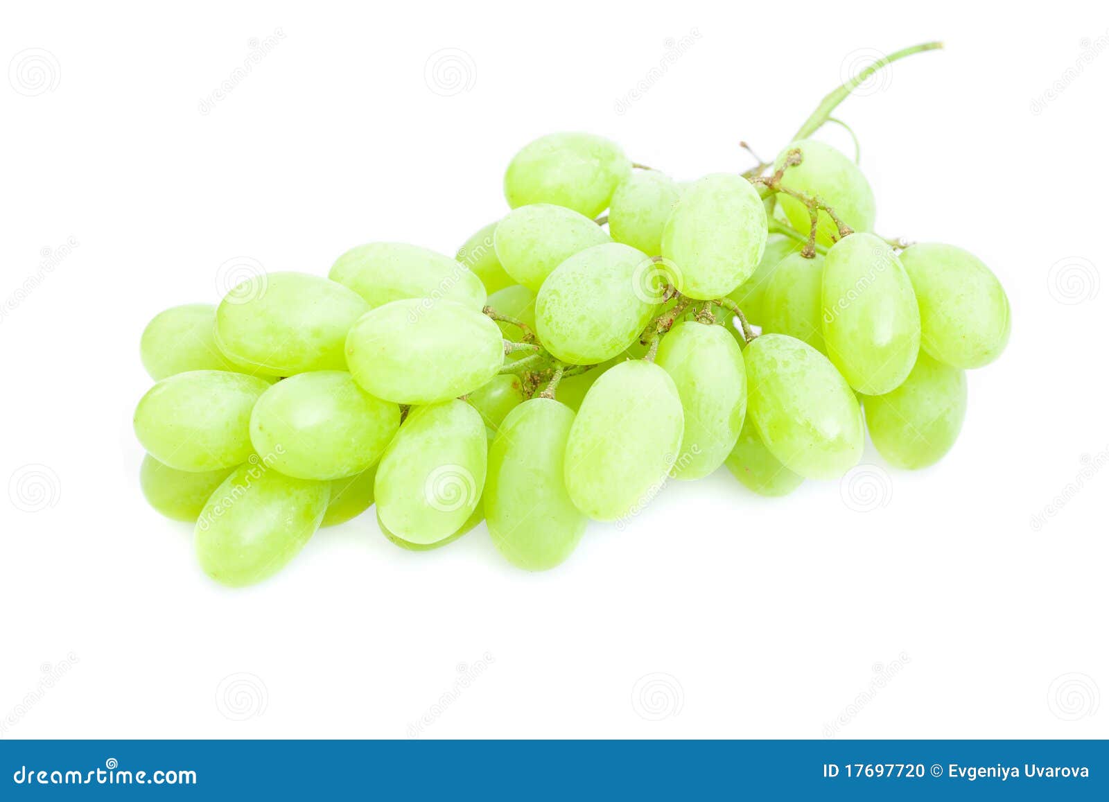 Grapes isolated on white stock photo. Image of close - 17697720
