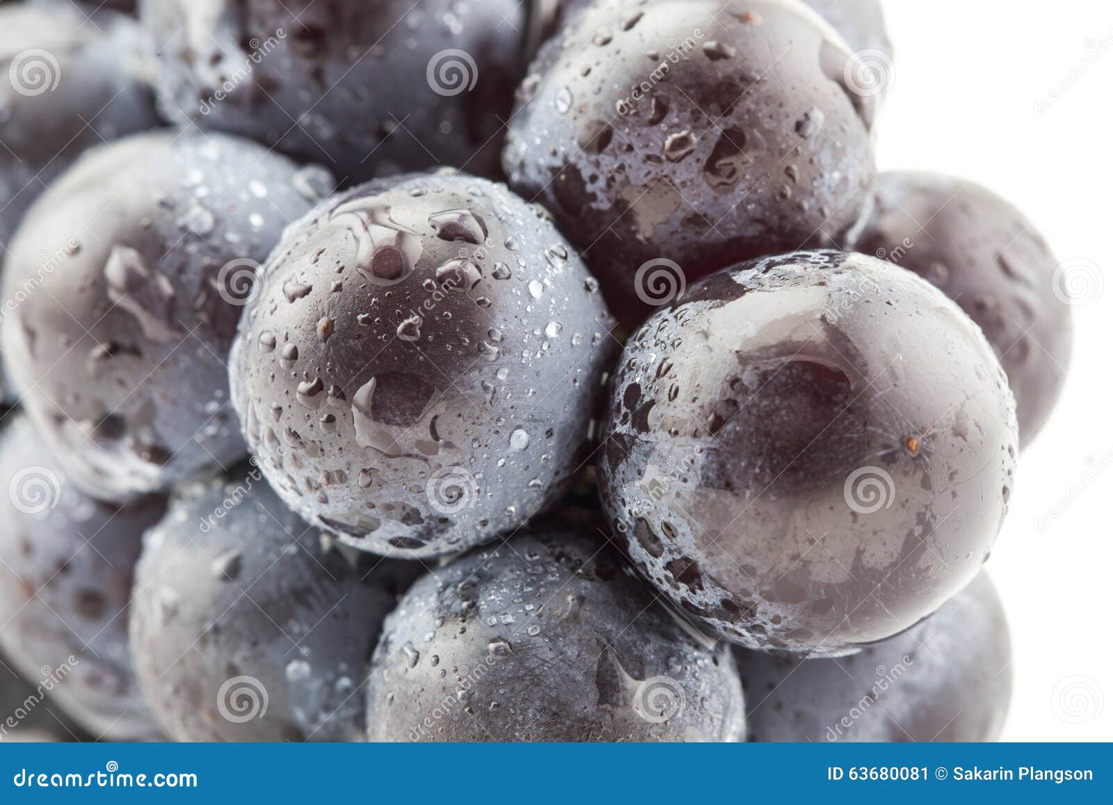 Grapes in Japan stock image. Image of beauty, japanese - 63680081