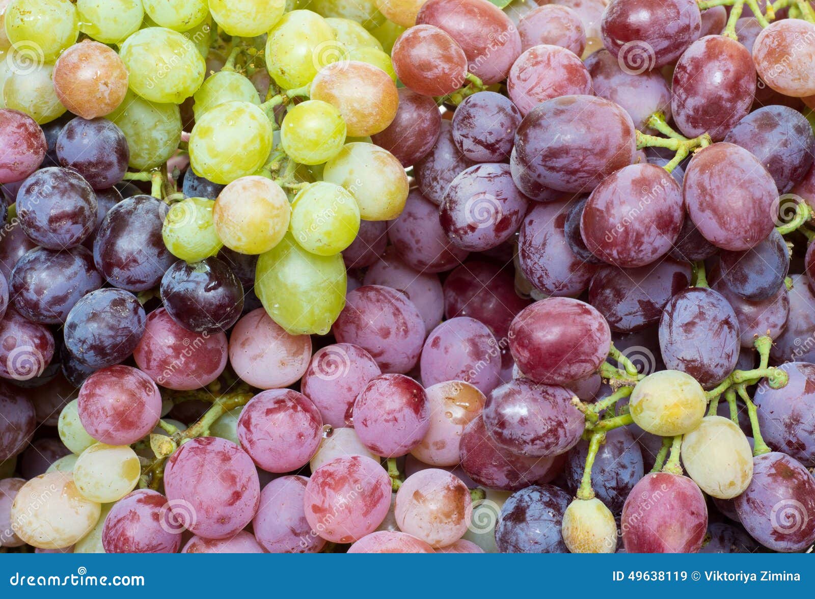 149 Waxy Coating Stock Photos - Free & Royalty-Free Stock Photos from ...