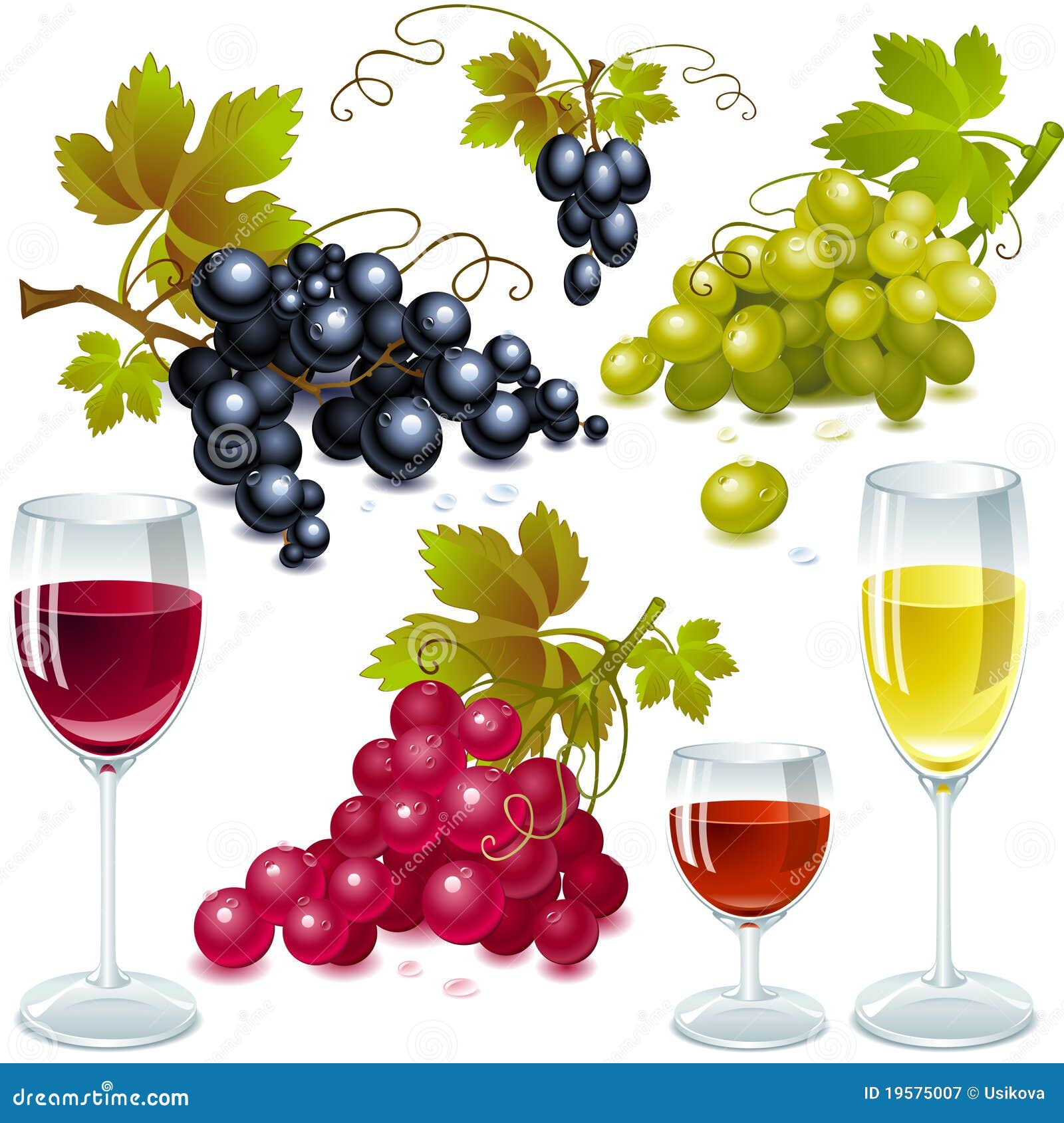 Wine Grapes Clipart