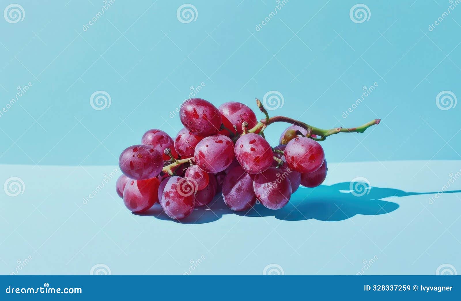 Grapes on a Light Pastel Blue Background Stock Image - Image of summer ...