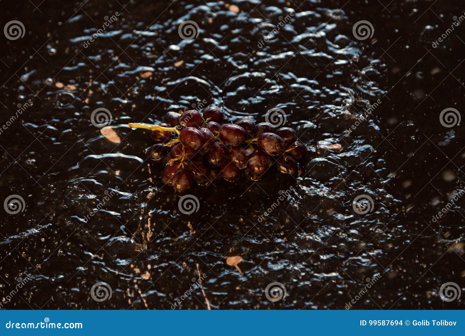 Grapes lying in water stock photo. Image of juicy, branch - 99587694