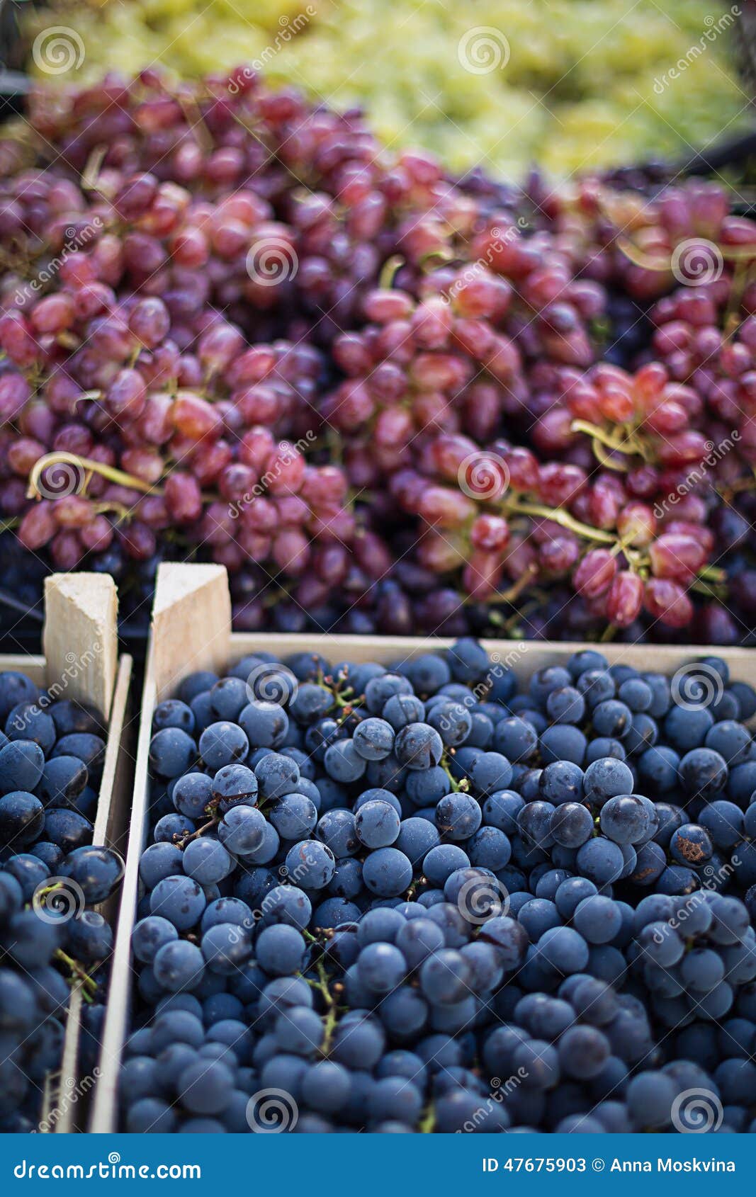 Grapes at the market stock image. Image of green, colorful - 47675903