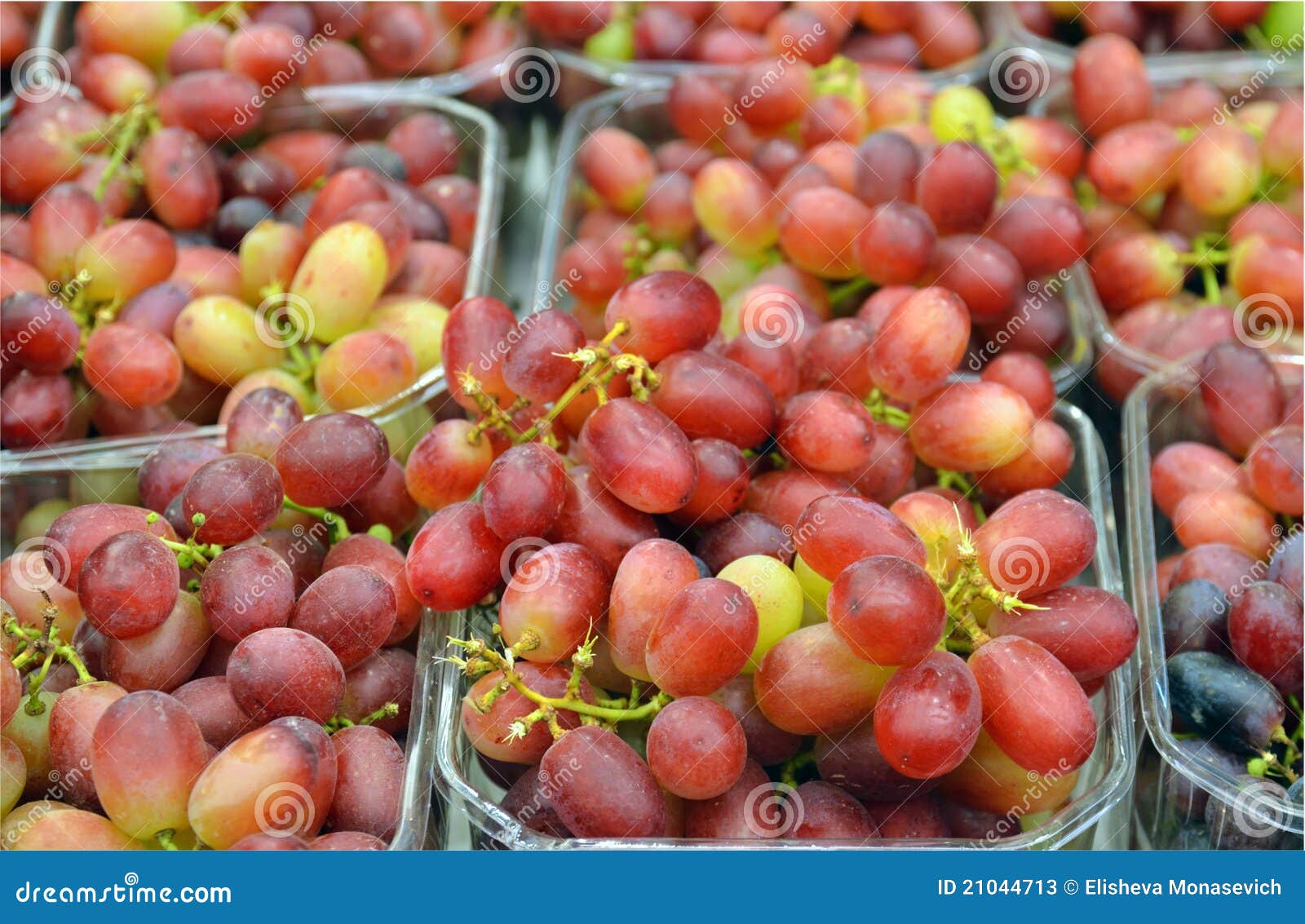 Grapes on market stand stock image. Image of background - 21044713