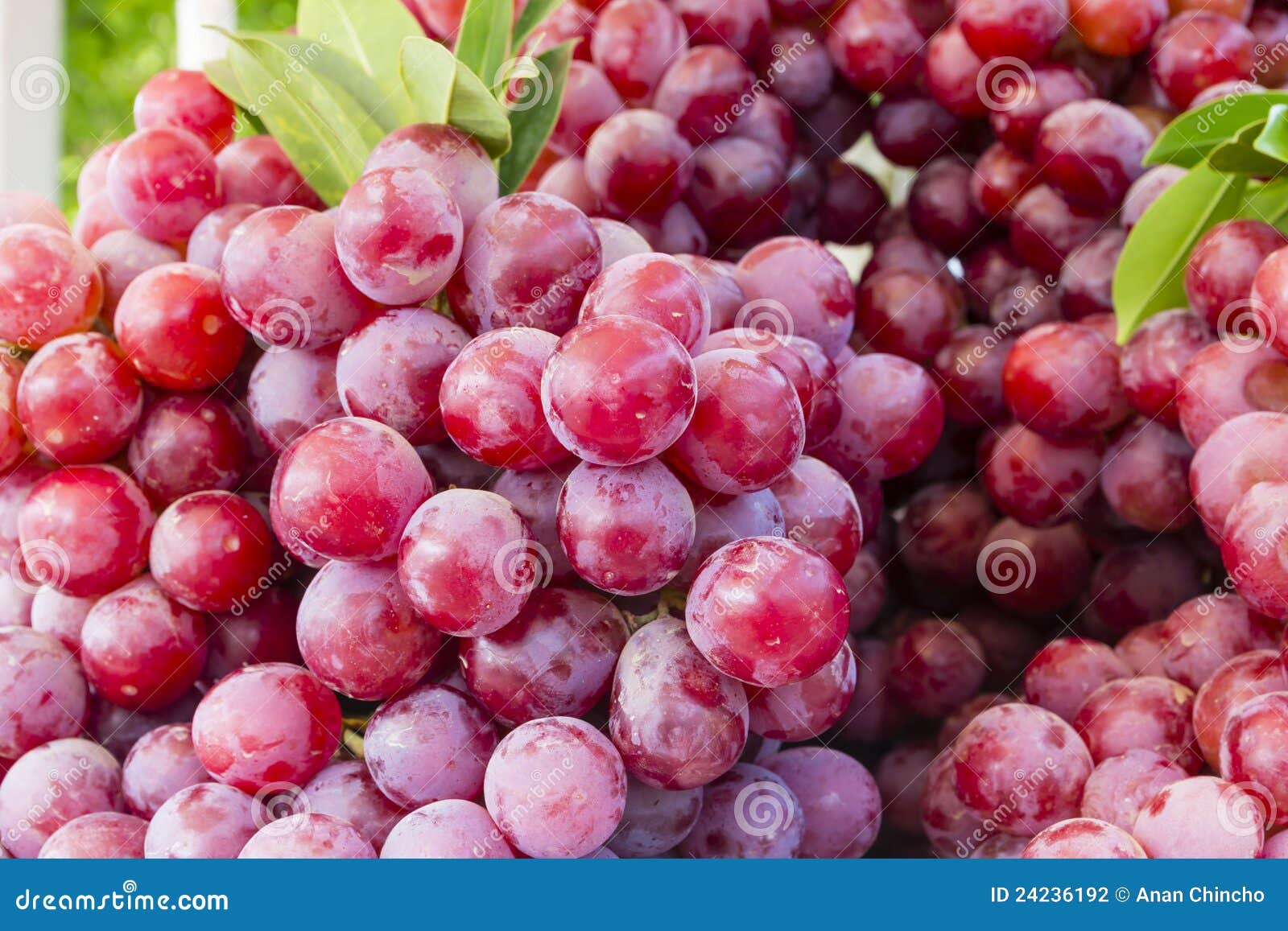 Grapes on market stand stock photo. Image of closeup - 24236192