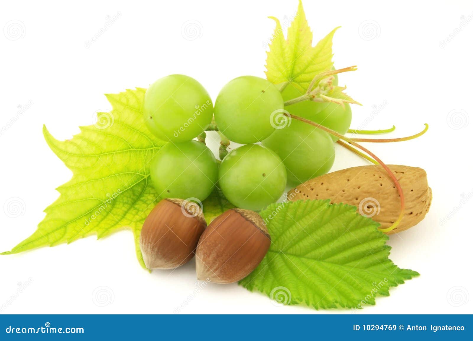 Grapes and nuts stock image. Image of nutrient, eating - 10294769