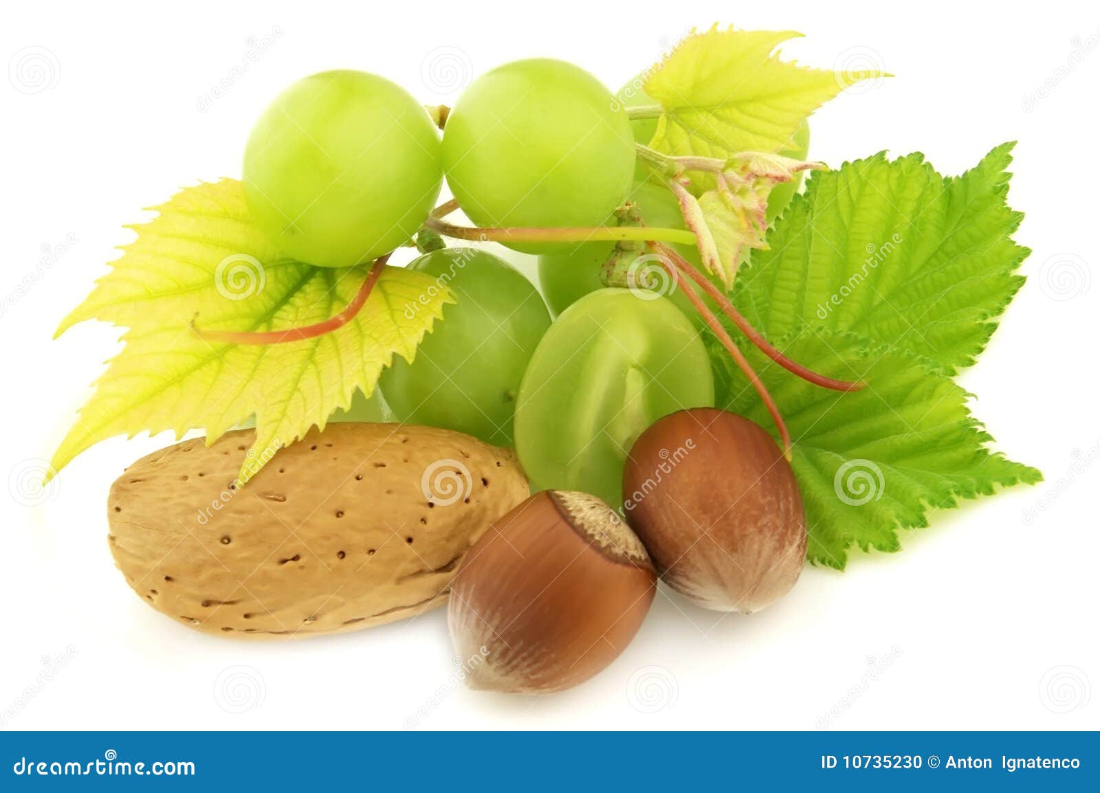 Grapes with nuts stock photo. Image of green, hard, bright - 10735230
