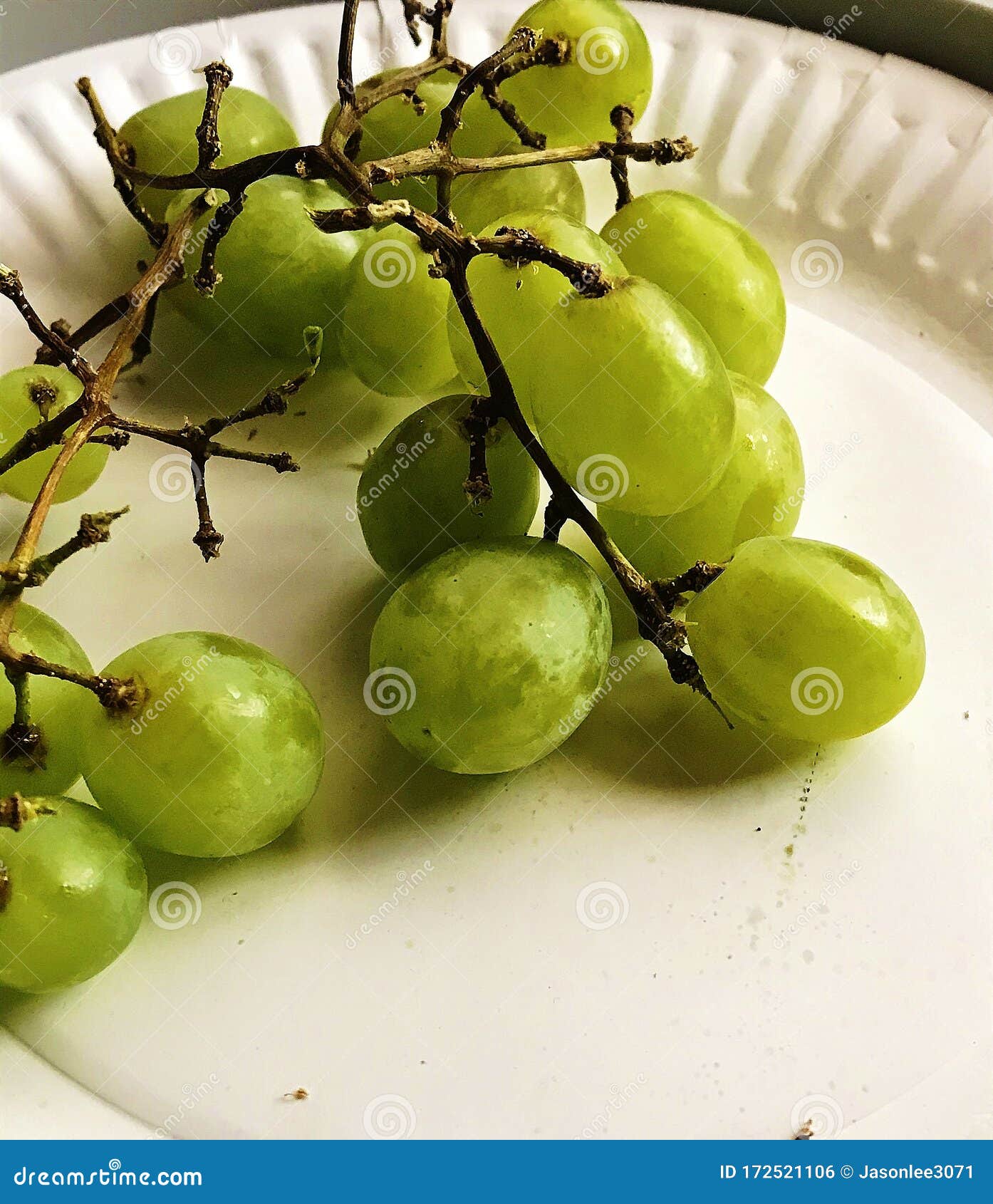 Grapes on a paper plate stock photo. Image of plate - 172521106