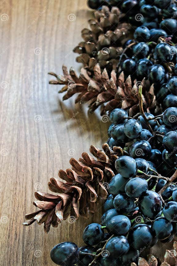 Grapes and Pine Cones stock photo. Image of cones, fresh - 81270344