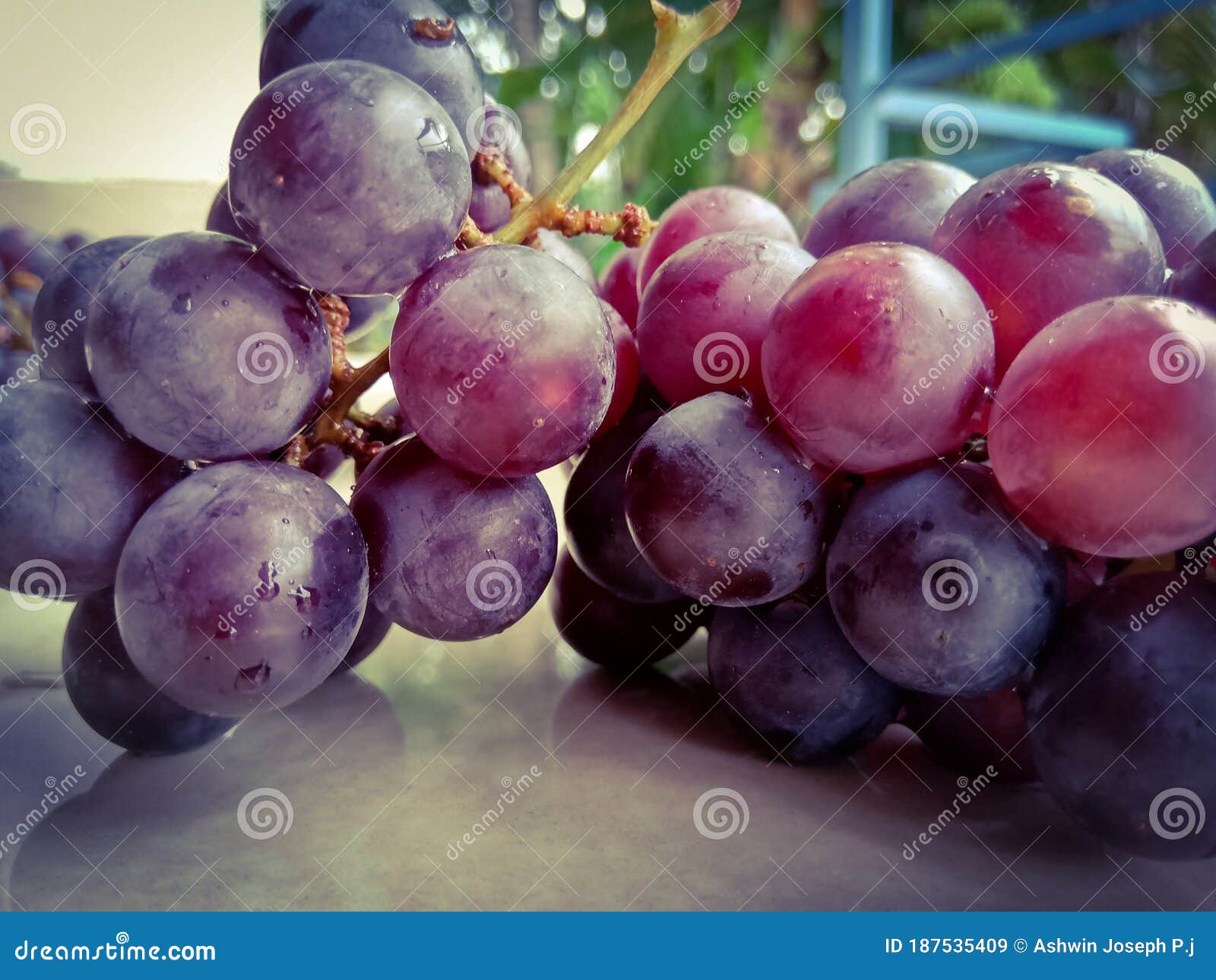 Grapes Placed on Floor with a Well Focus. Stock Image - Image of vine ...