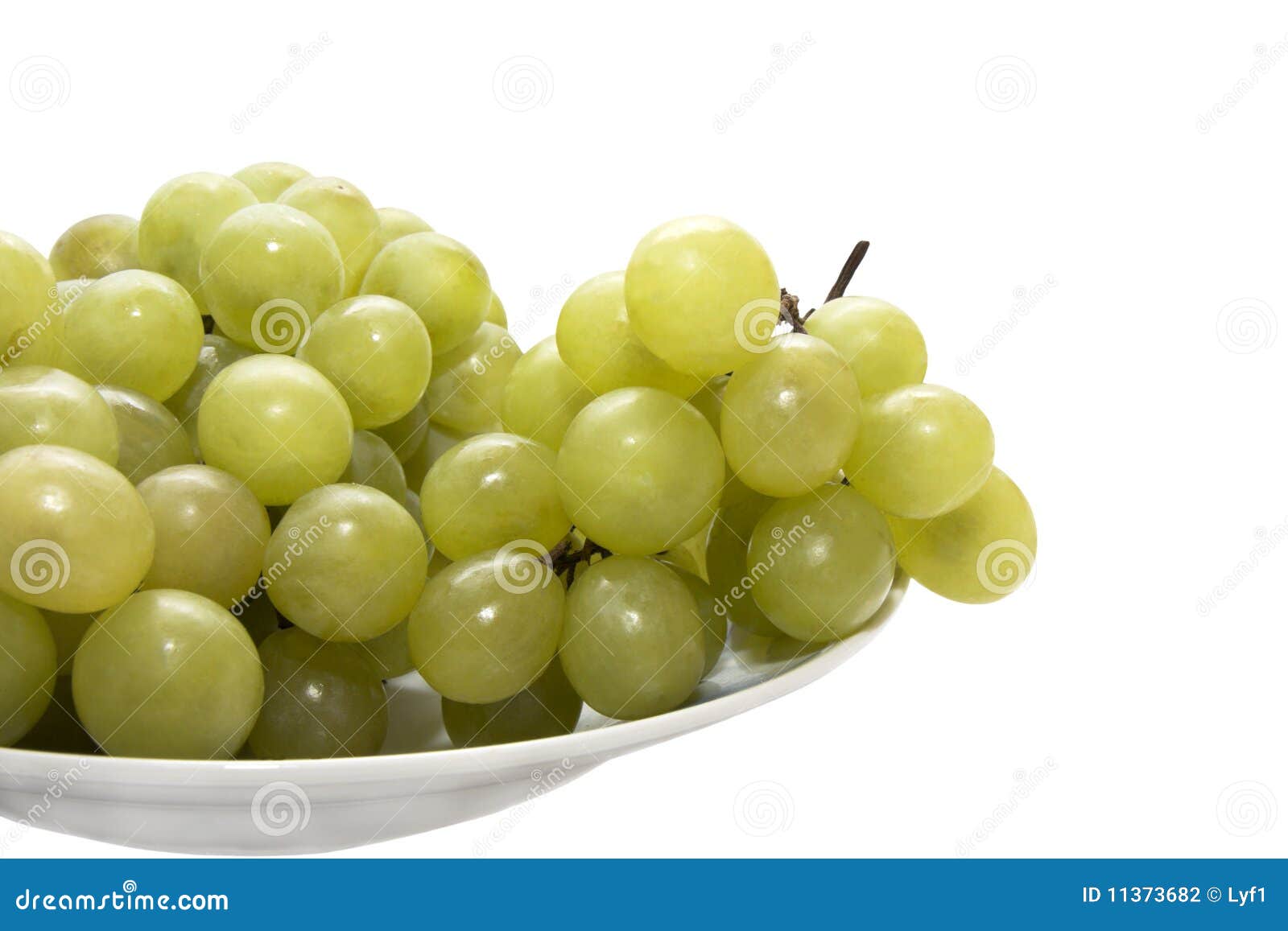 Grapes on plate stock photo. Image of fresh, autumn, plate - 11373682