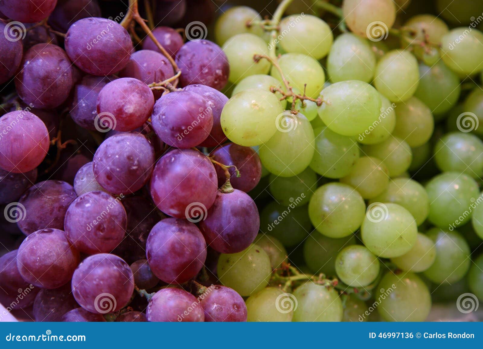 Sea Grapes, Green Caviar, Umi Budo Stock Photography | CartoonDealer ...