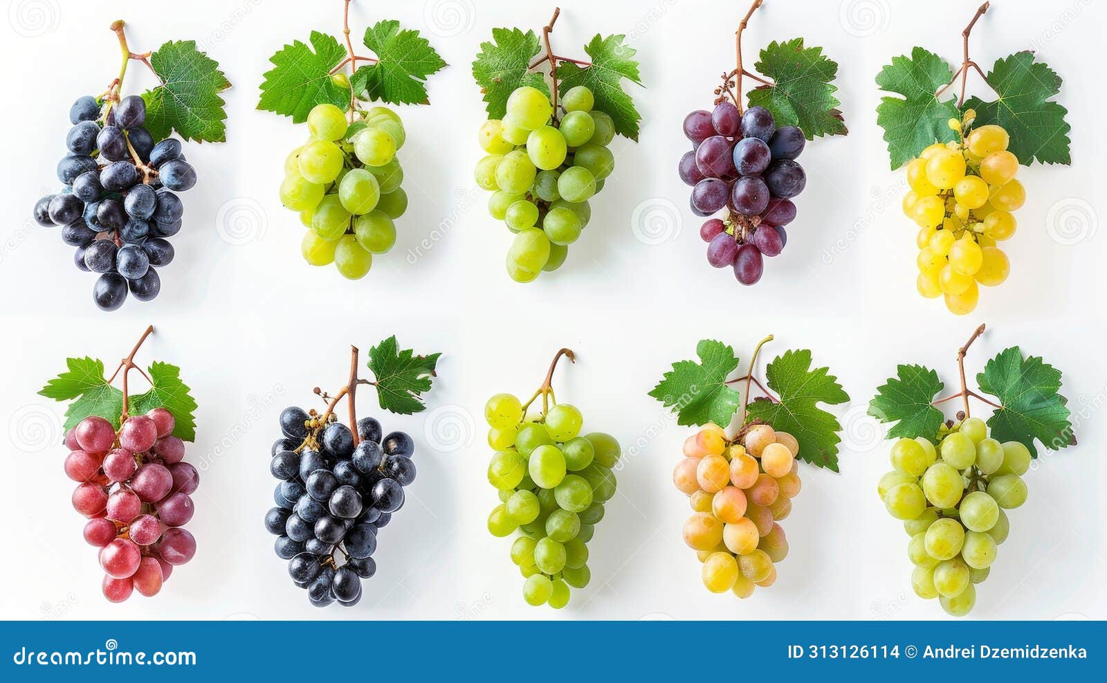 Grapes with Ripe Leaves Isolated on White Backgrounds Stock Photo ...
