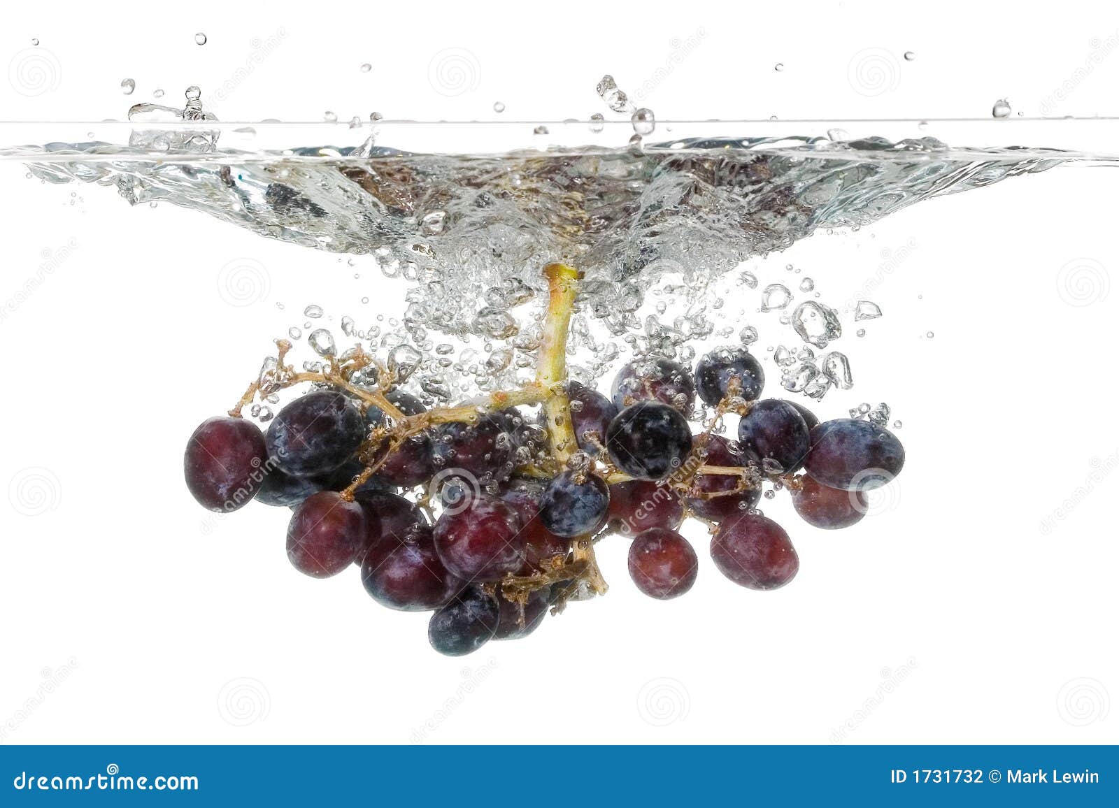 Grapes Splash stock photo. Image of juicy, grape, bubble - 1731732