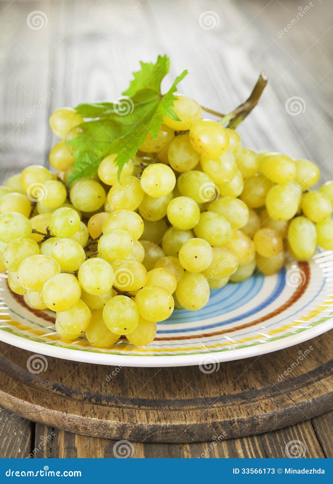 Grapes on a striped plate stock image. Image of plate - 33566173