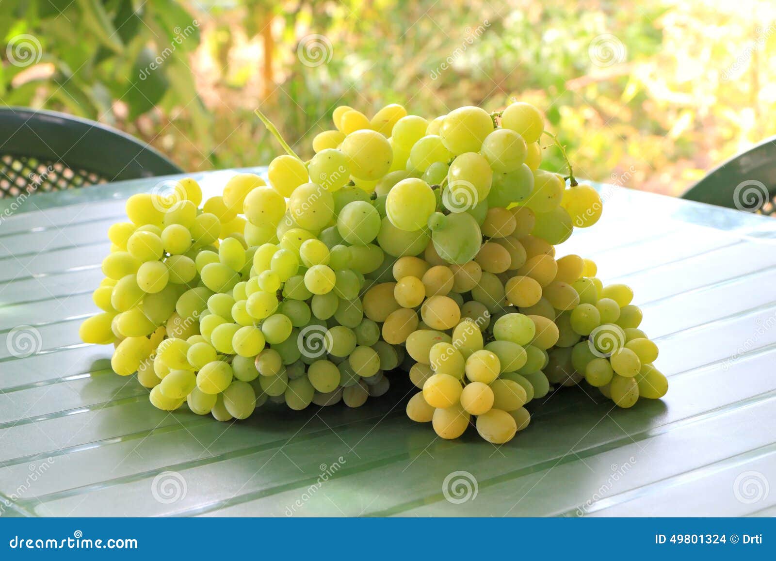 Grapes on the table stock photo. Image of outdoor, full - 49801324