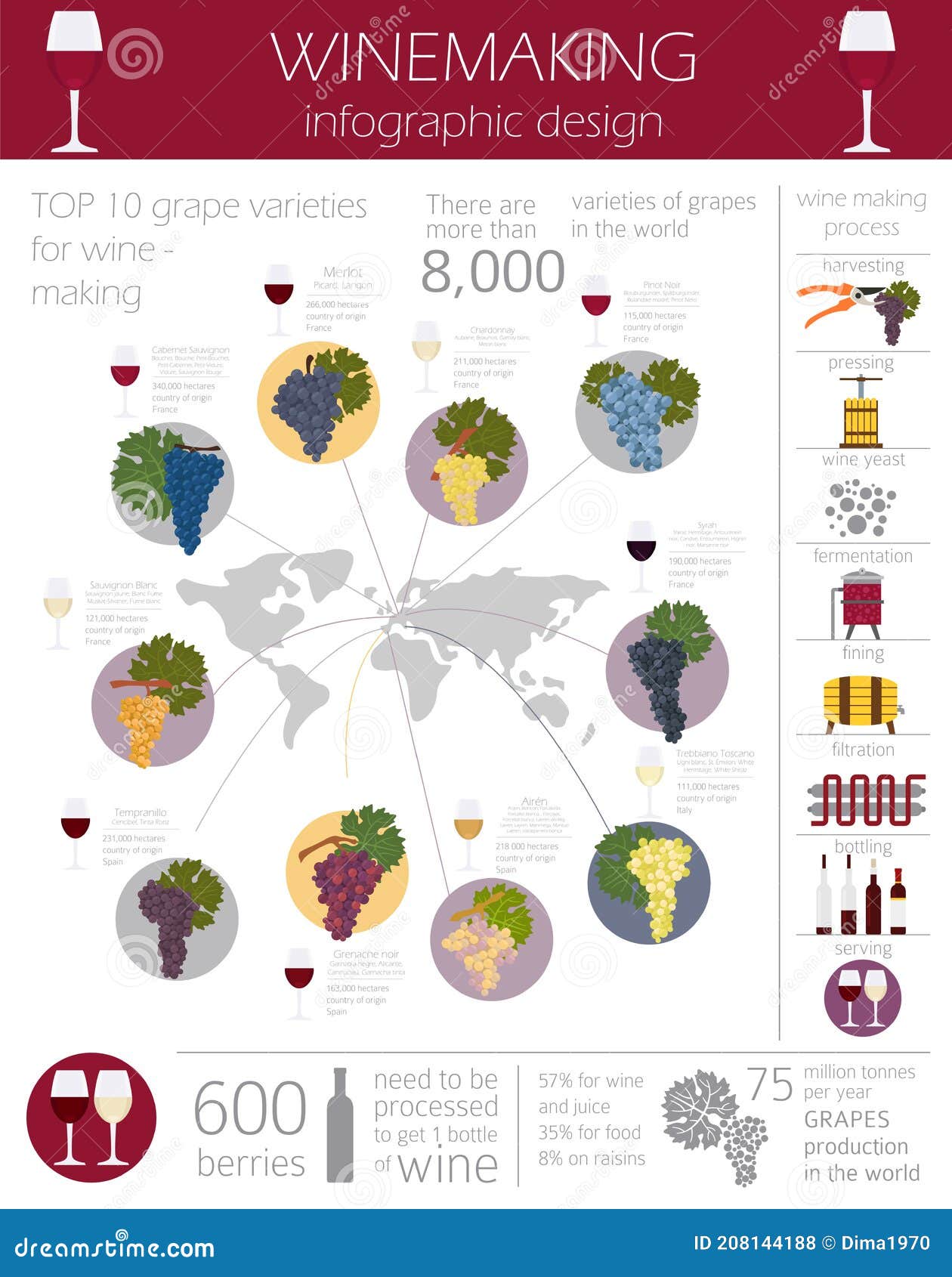 Grapes Varieties for Wine. Winemaking Infographic Stock Vector ...