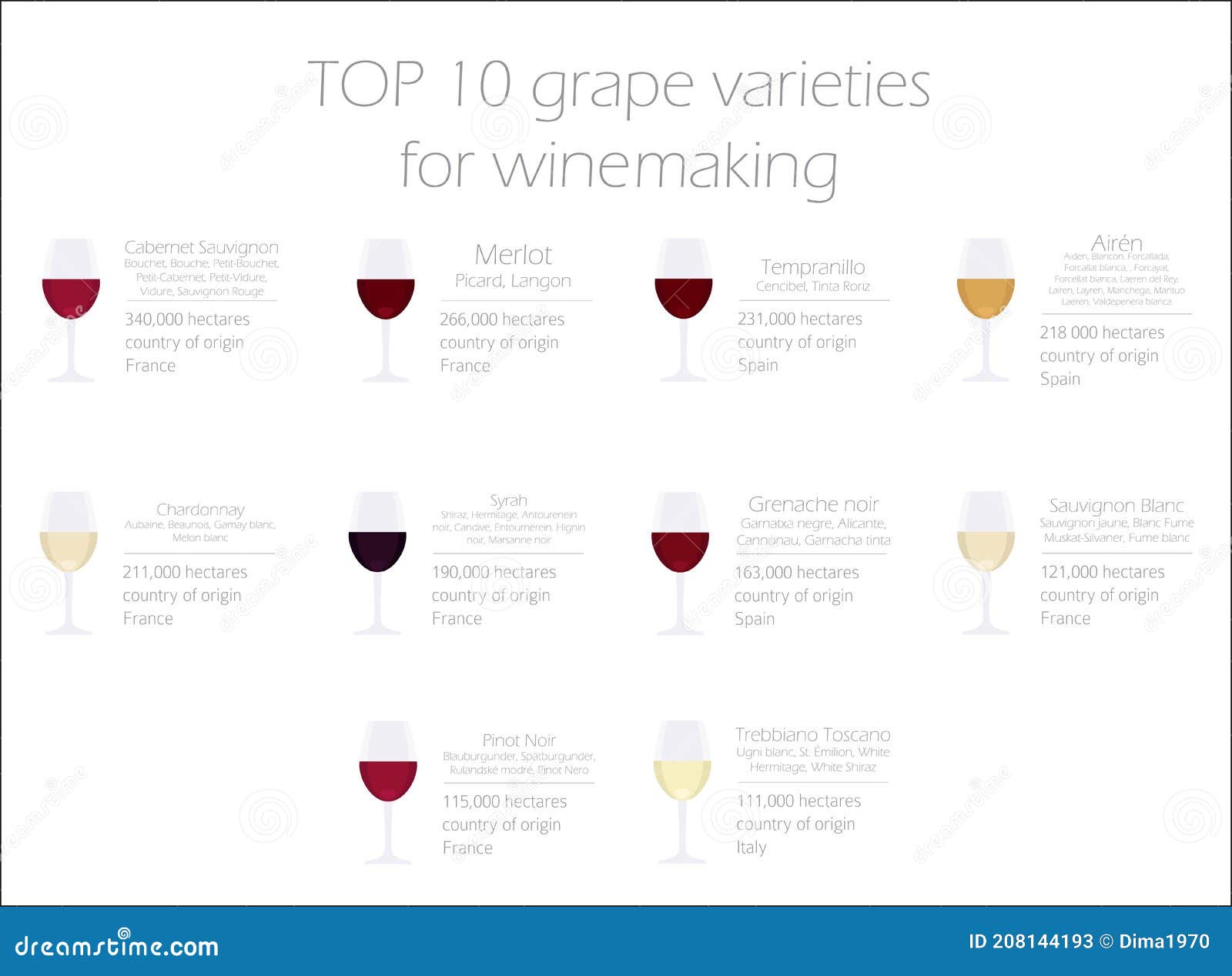 Grapes Varieties for Wine. Winemaking Infographic Stock Vector ...